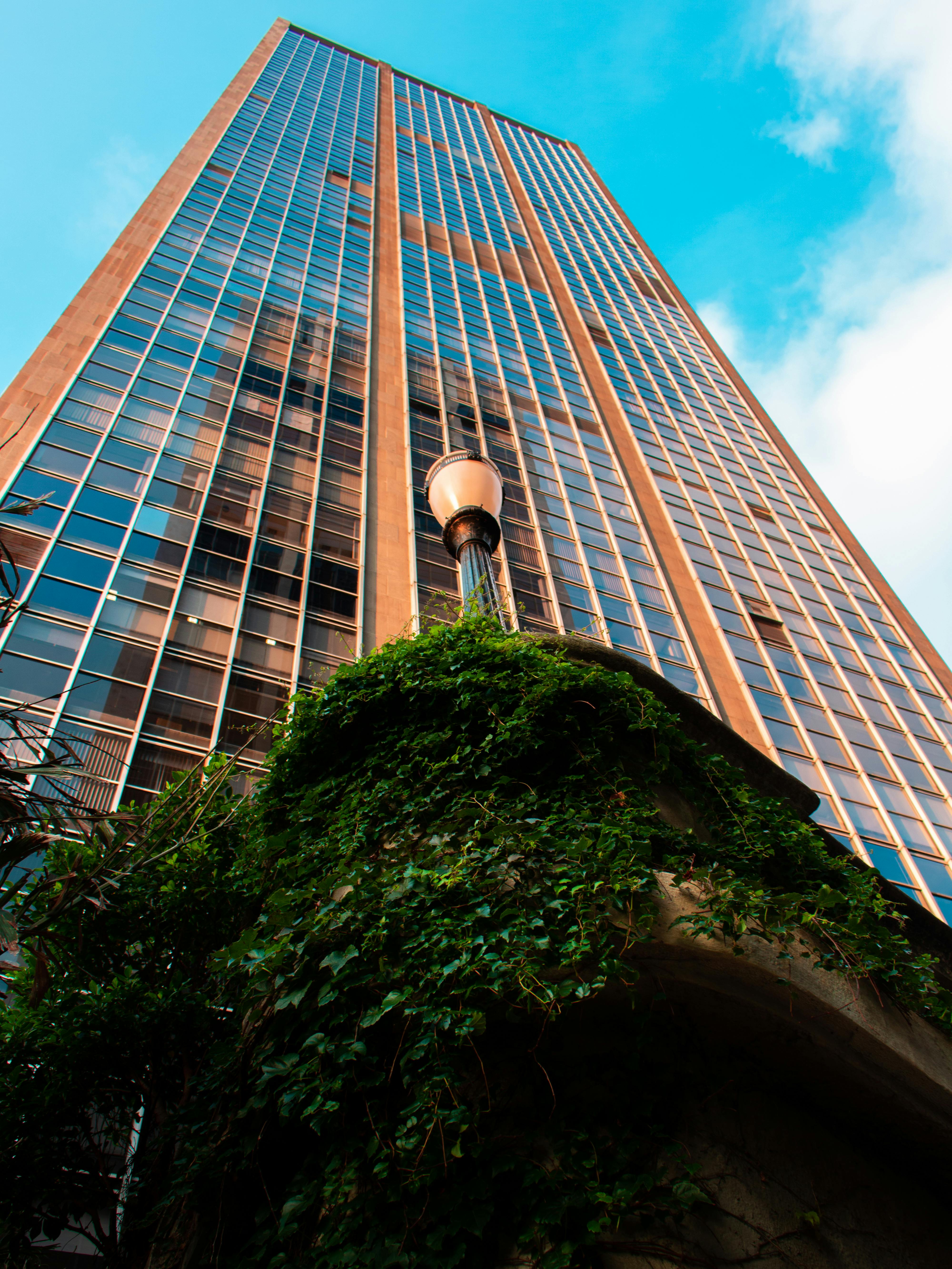 Low Angle Shot Of Building · Free Stock Photo