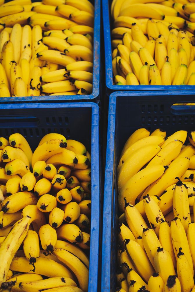 Stinky Bananas: Leading Banana Supplier in Costa Mesa, CA | Homepage