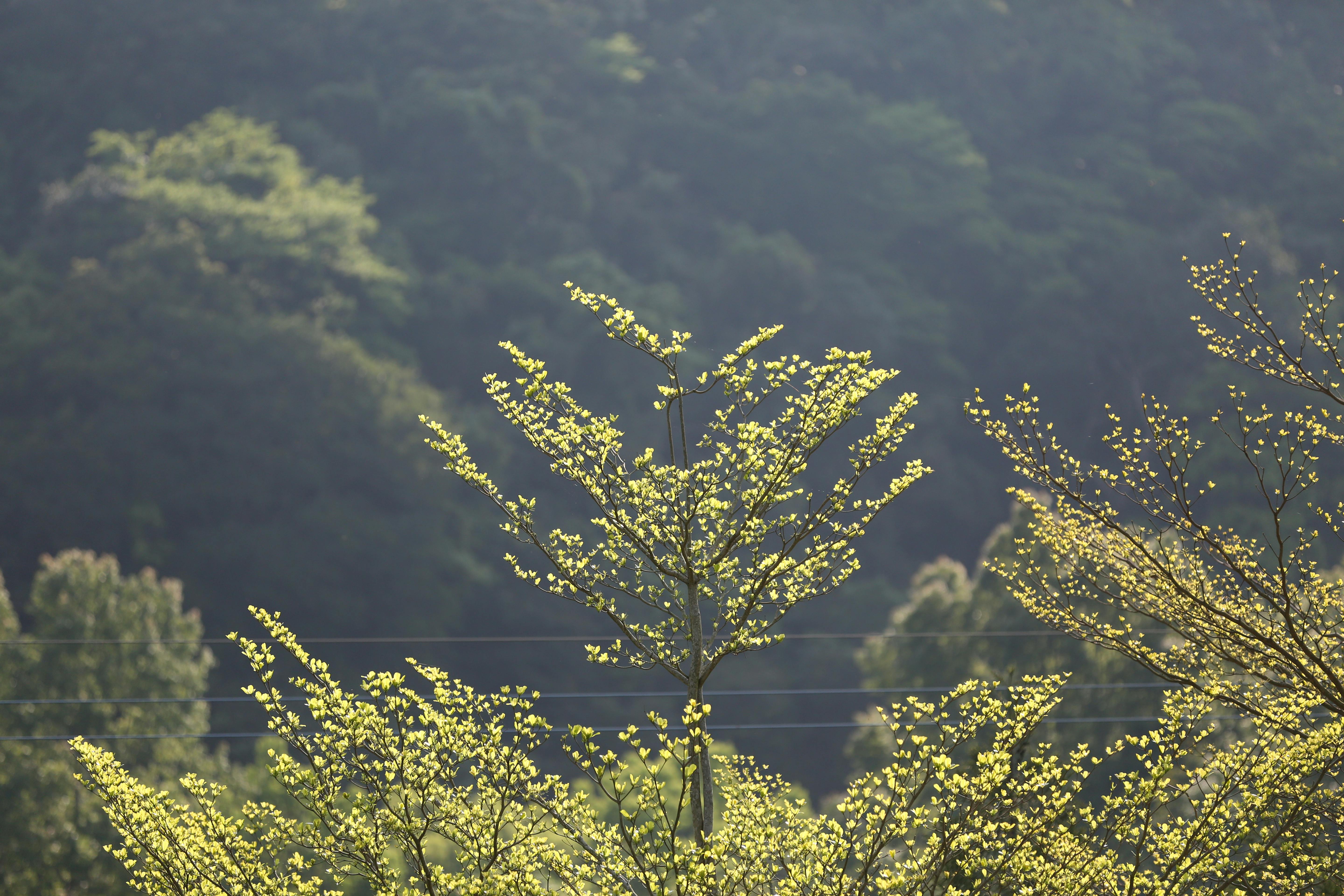 JIUN-JE LIN - Photography