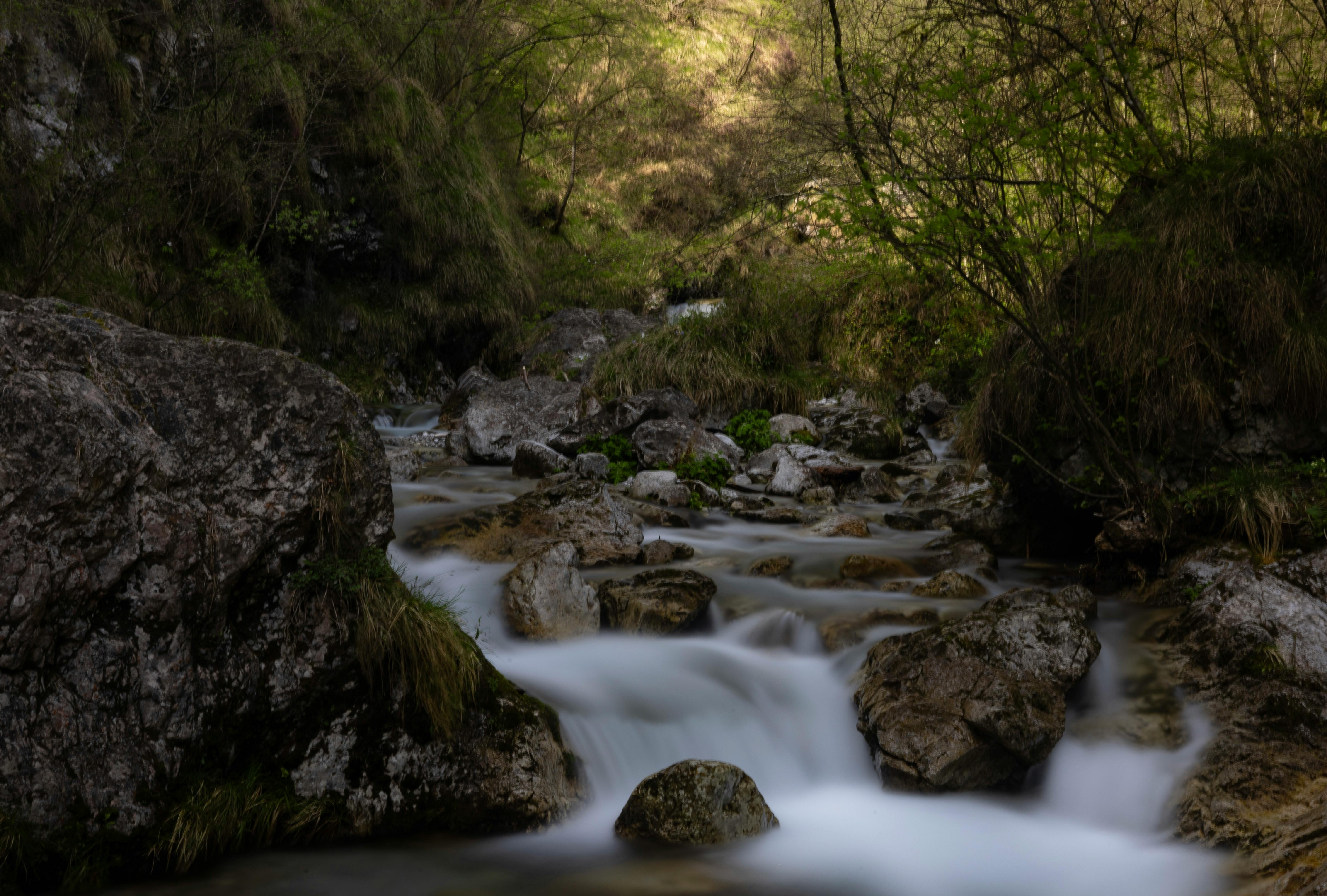 Rocks and Stream in Forest · Free Stock Photo