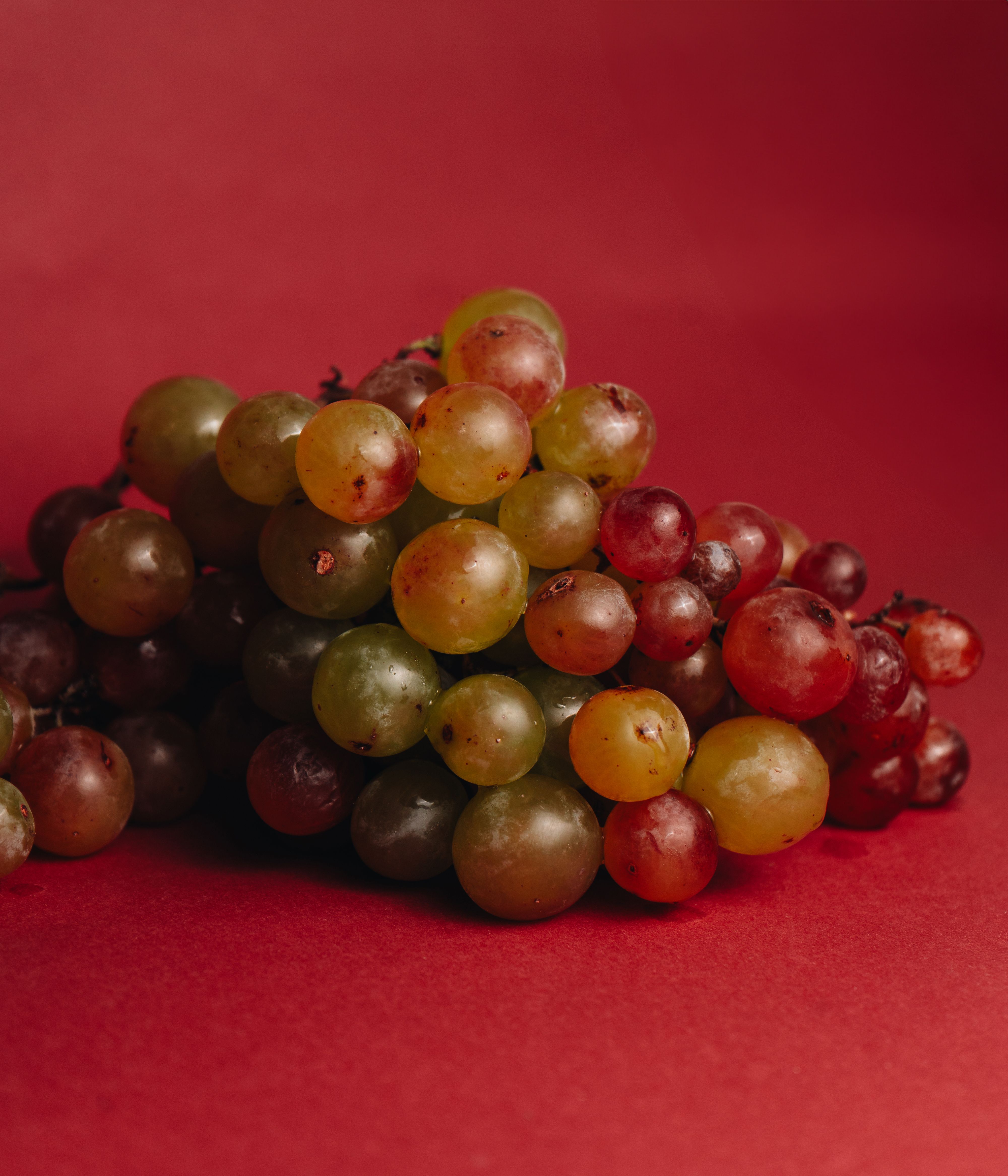 Grapes on Red Background · Free Stock Photo