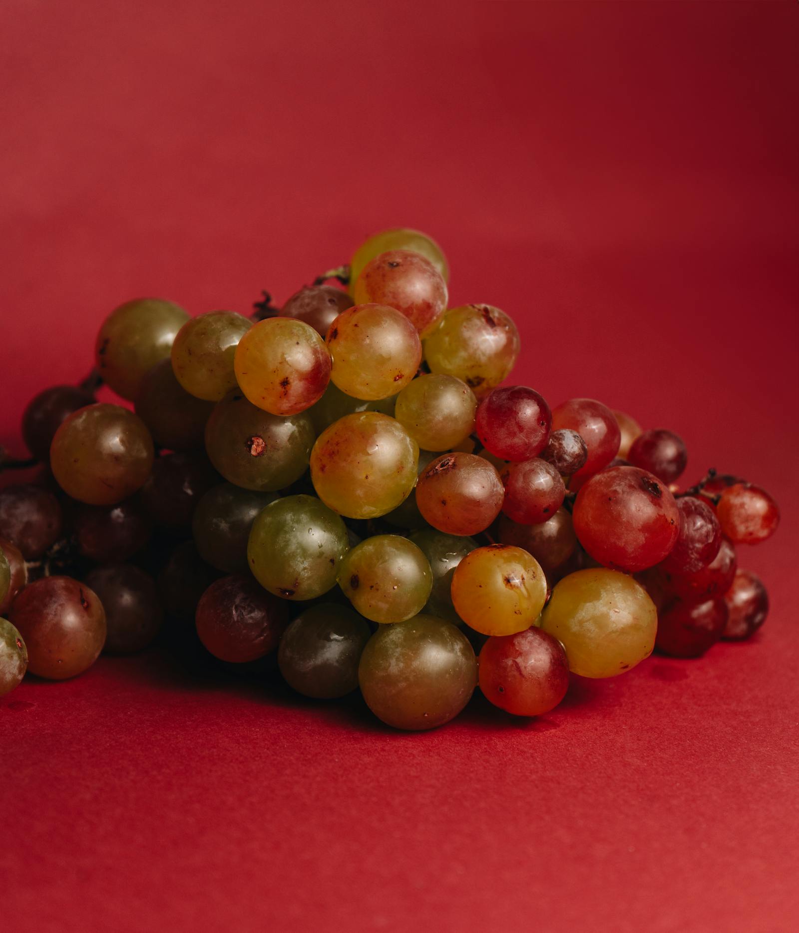 Food Photography Solid Background Photos, Download The BEST Free Food ...