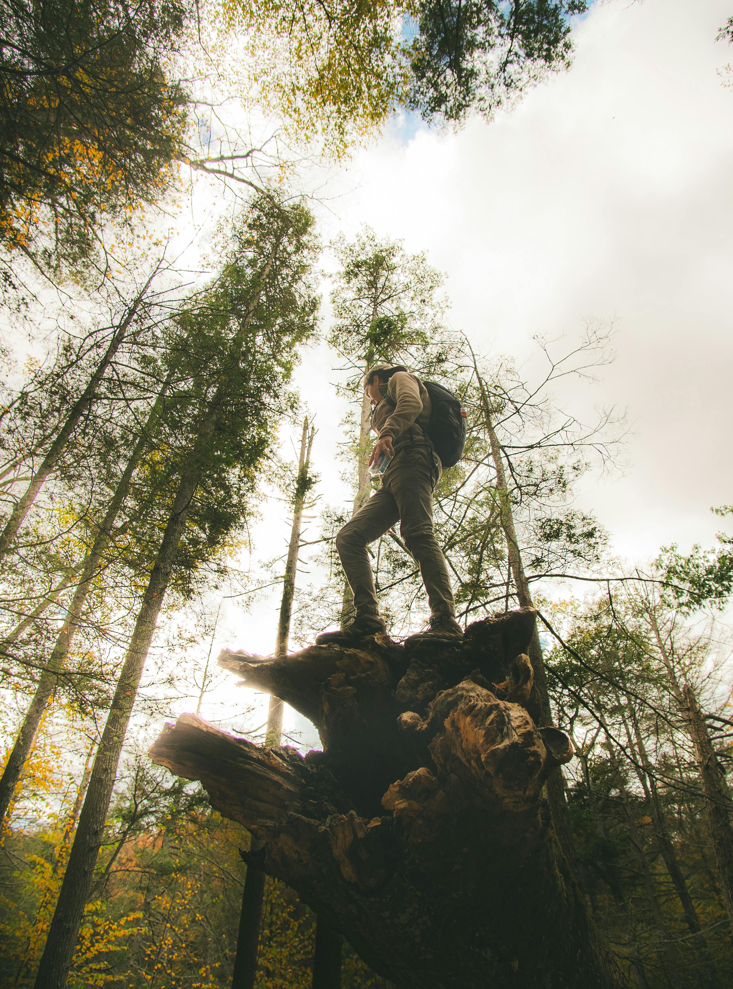 Man Standing Infront of Forest · Free Stock Photo