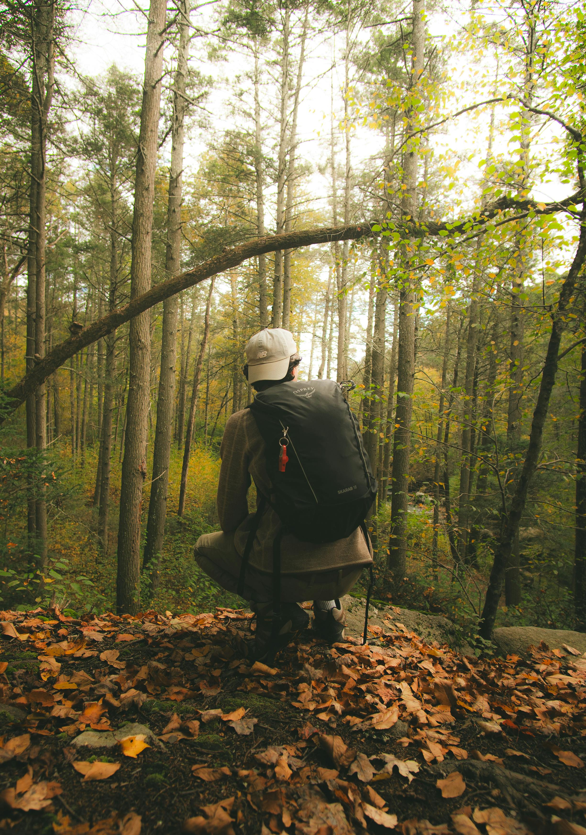 Hiker and a Camera Standing by a Lake in the Forest with Her Arms ...