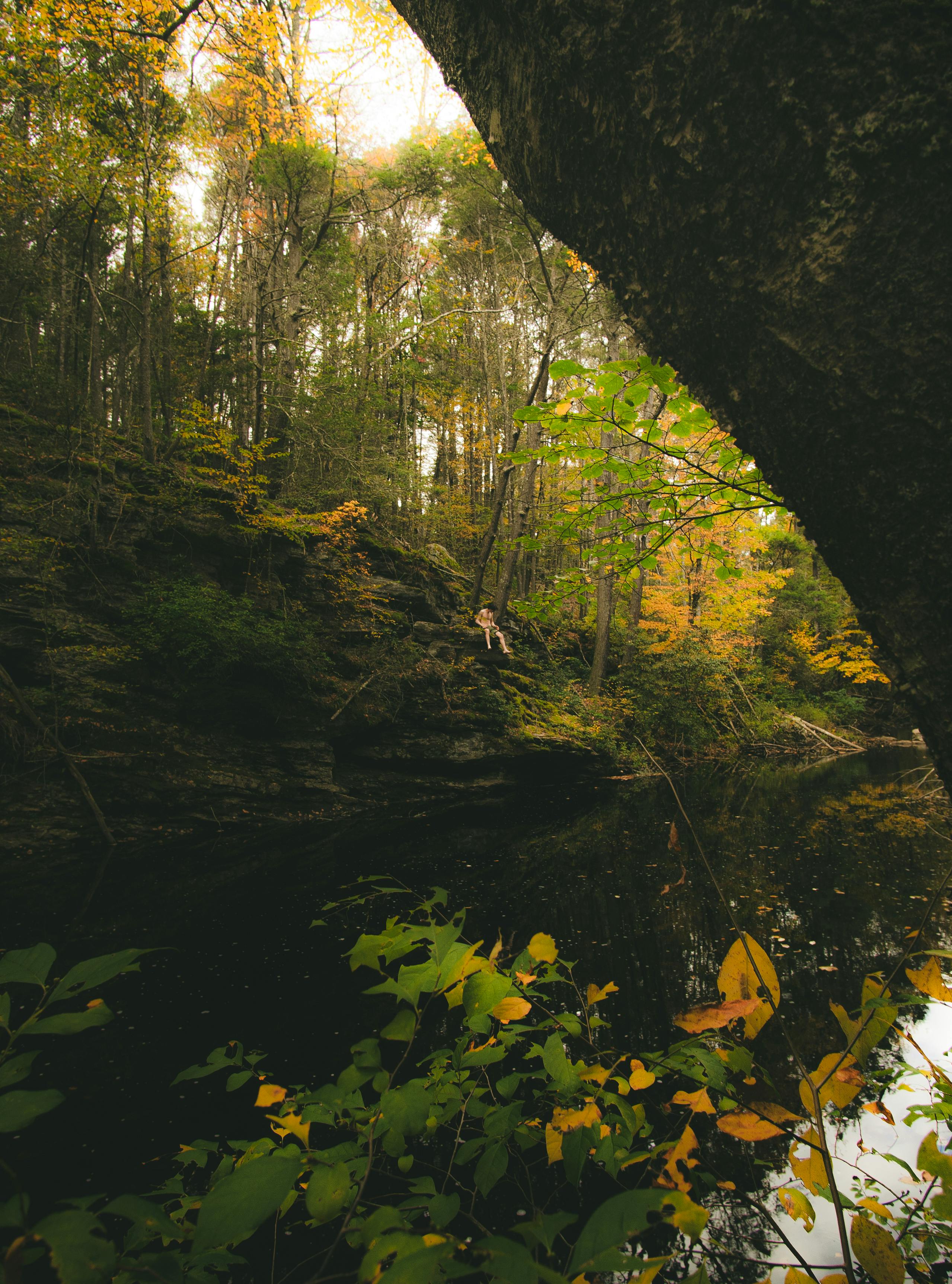 Hiker Sitting on a Rock Overhang Above a River in the Forest · Free ...