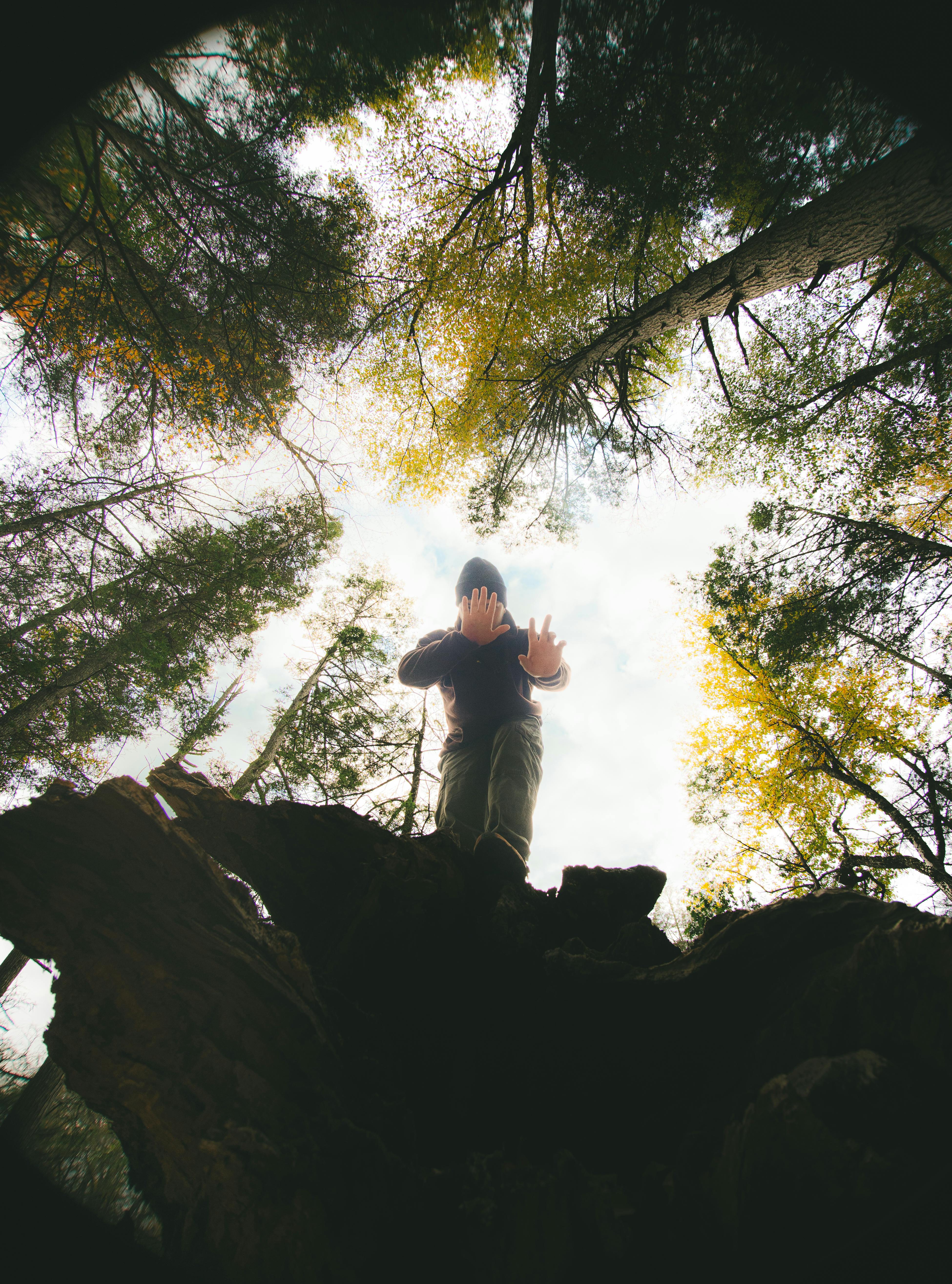 Man on a Fallen Tree in the Forest Looking Down with Arms Stretched Out ...