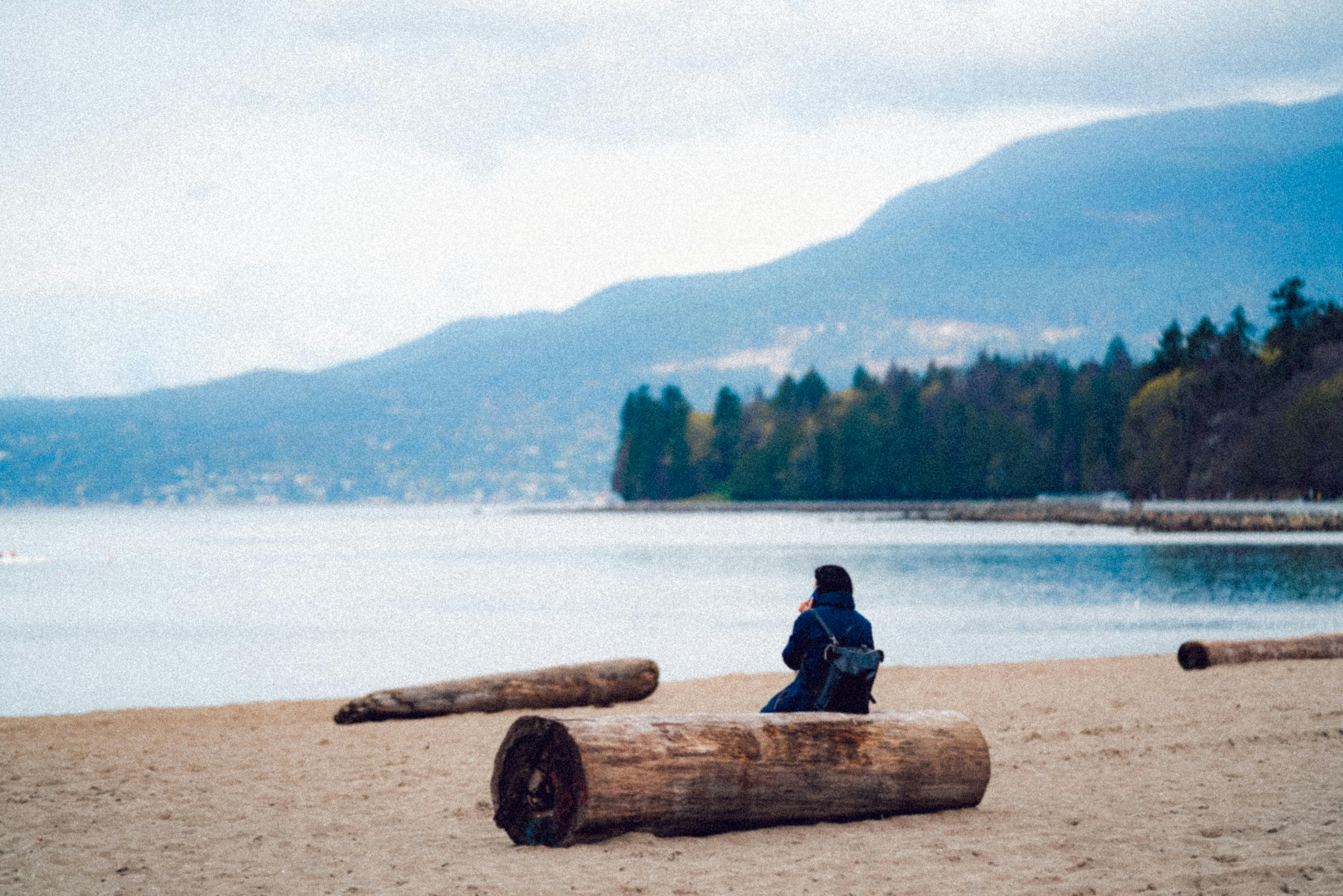 Woman Sitting on Tree Trunk on Beach in Canada · Free Stock Photo