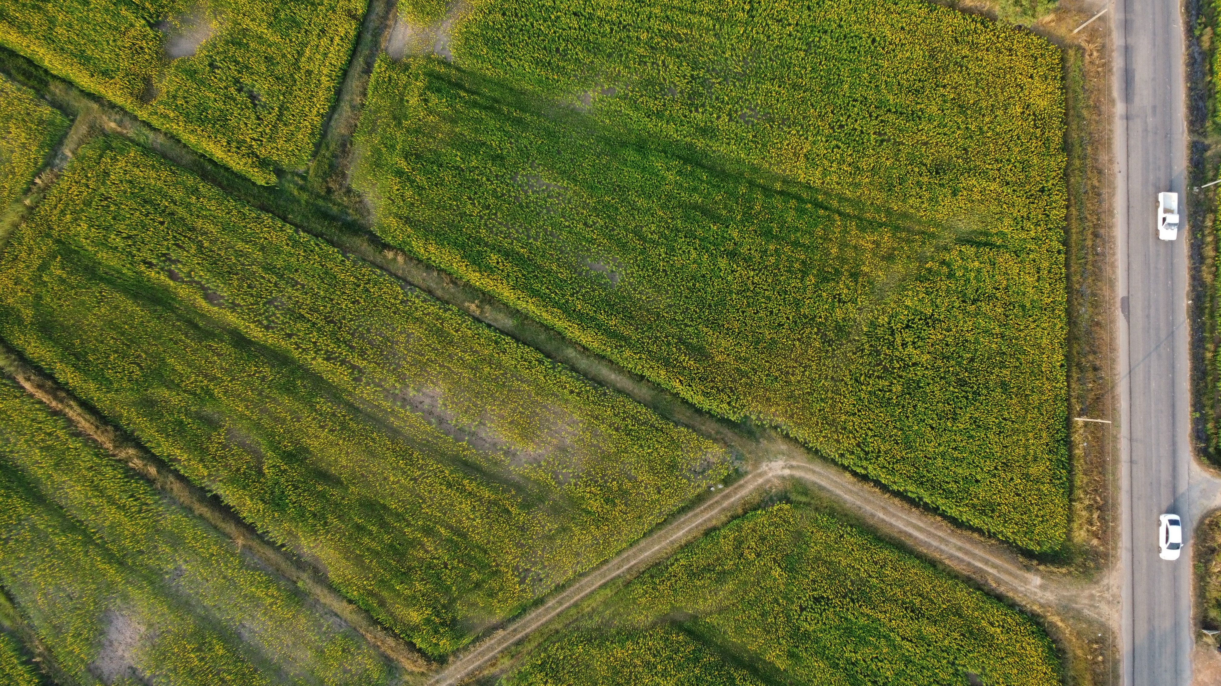 Field and Road in Countryside · Free Stock Photo