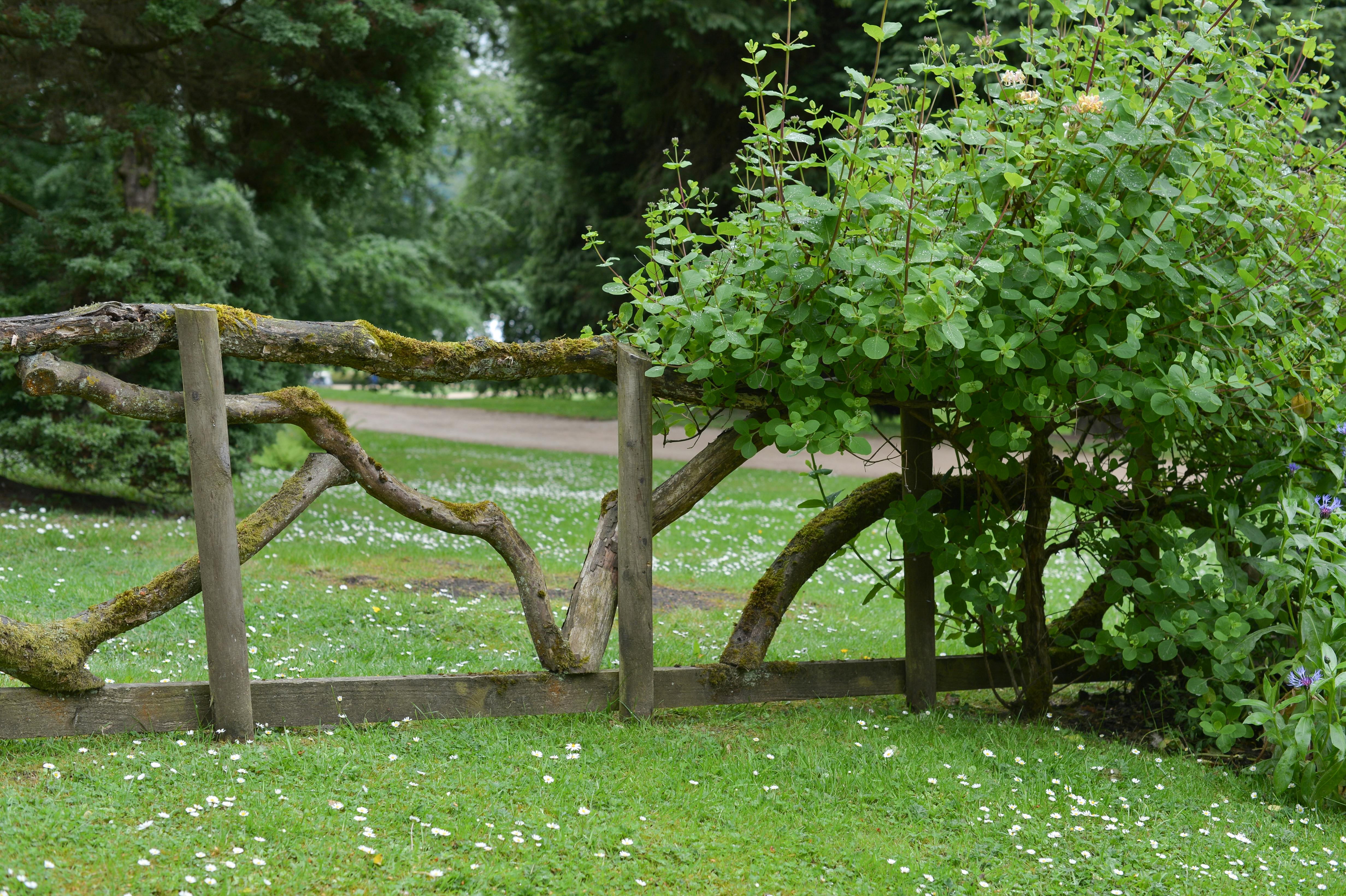 Wooden Fence in English Countryside · Free Stock Photo