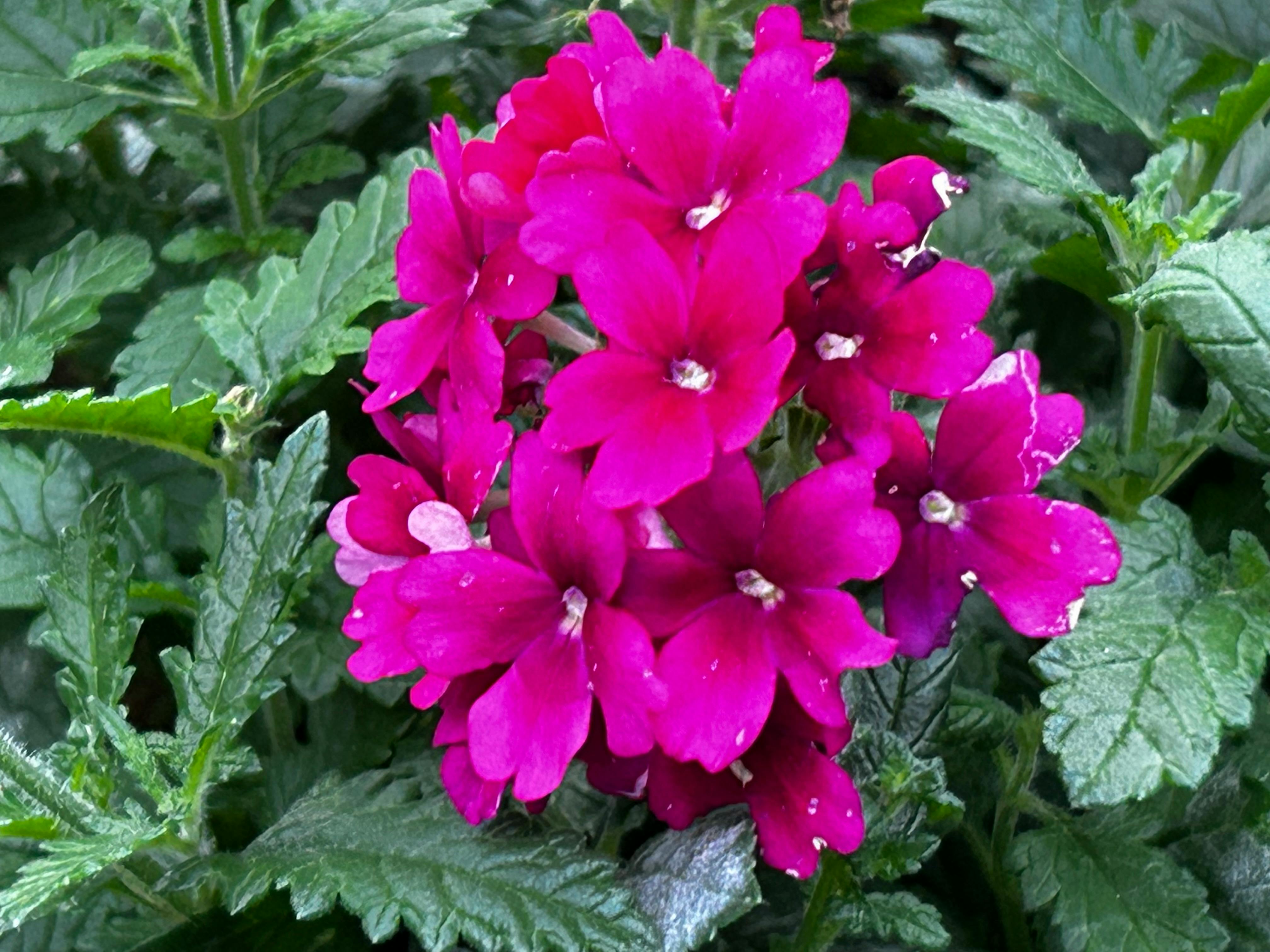 Catherine Huang - Photography