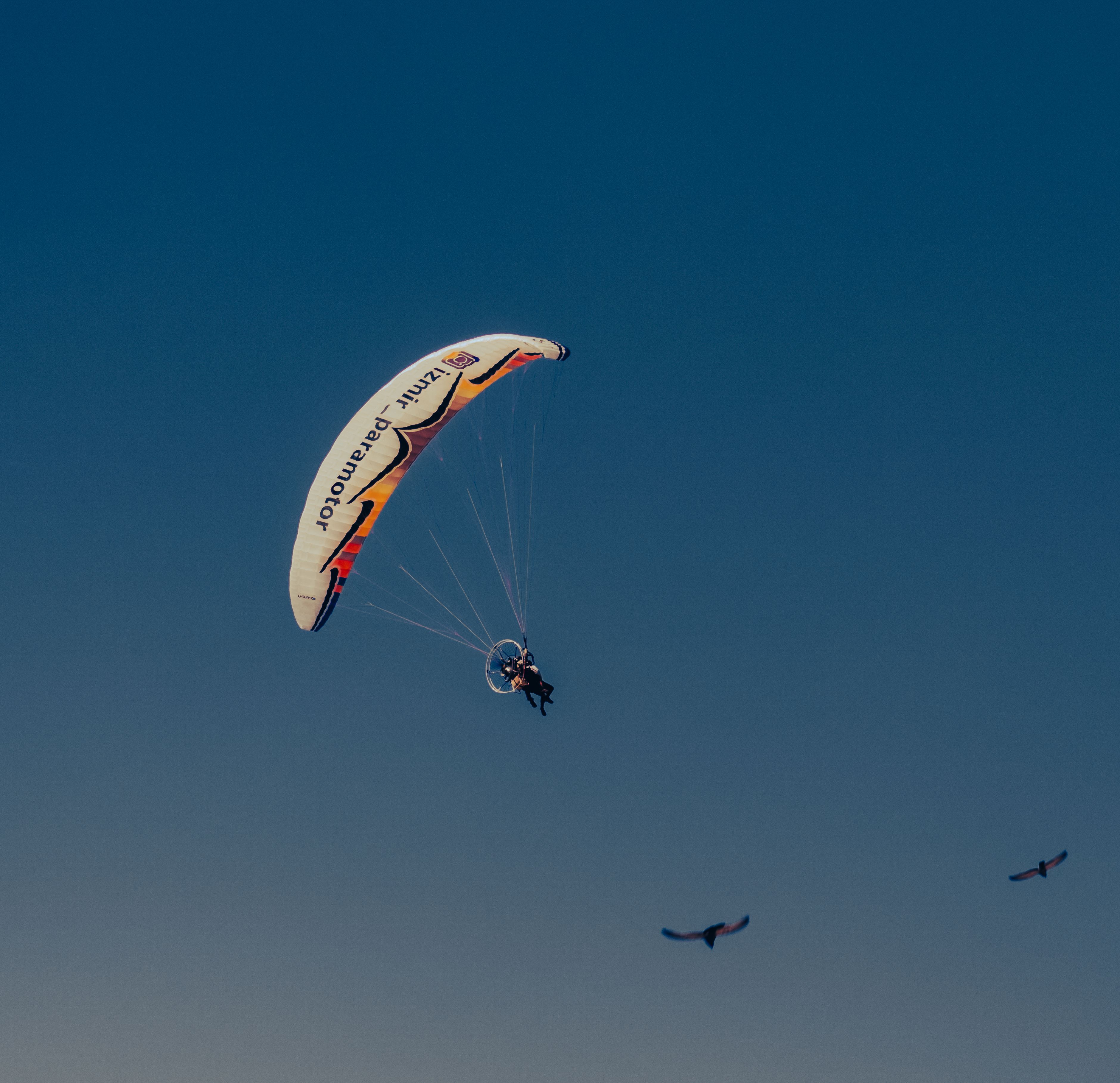 Wwii Airplane Parachute Photos, Download The BEST Free Wwii Airplane ...