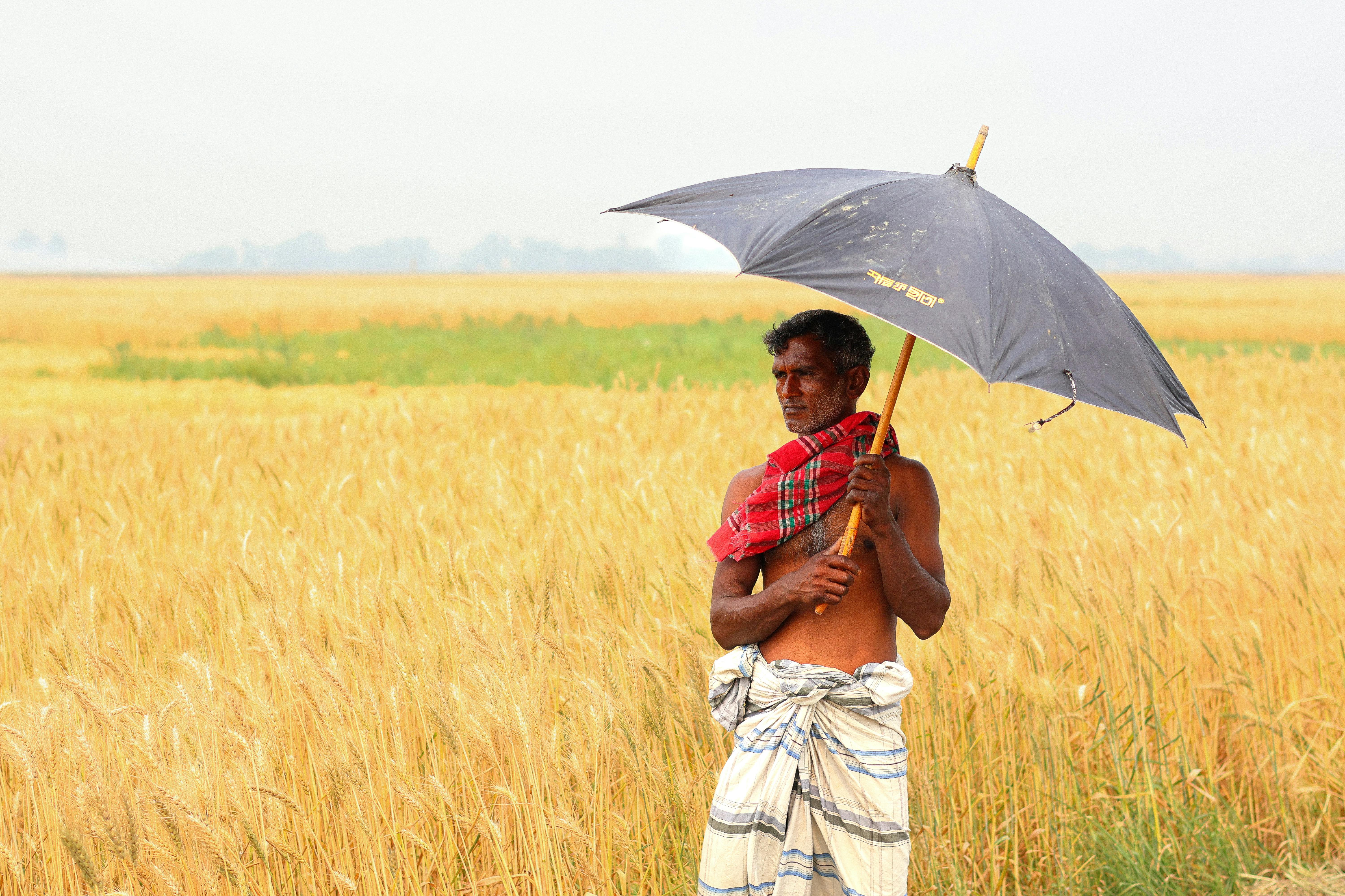 Farmer with black umbrella in the agricultural land · Free Stock Photo