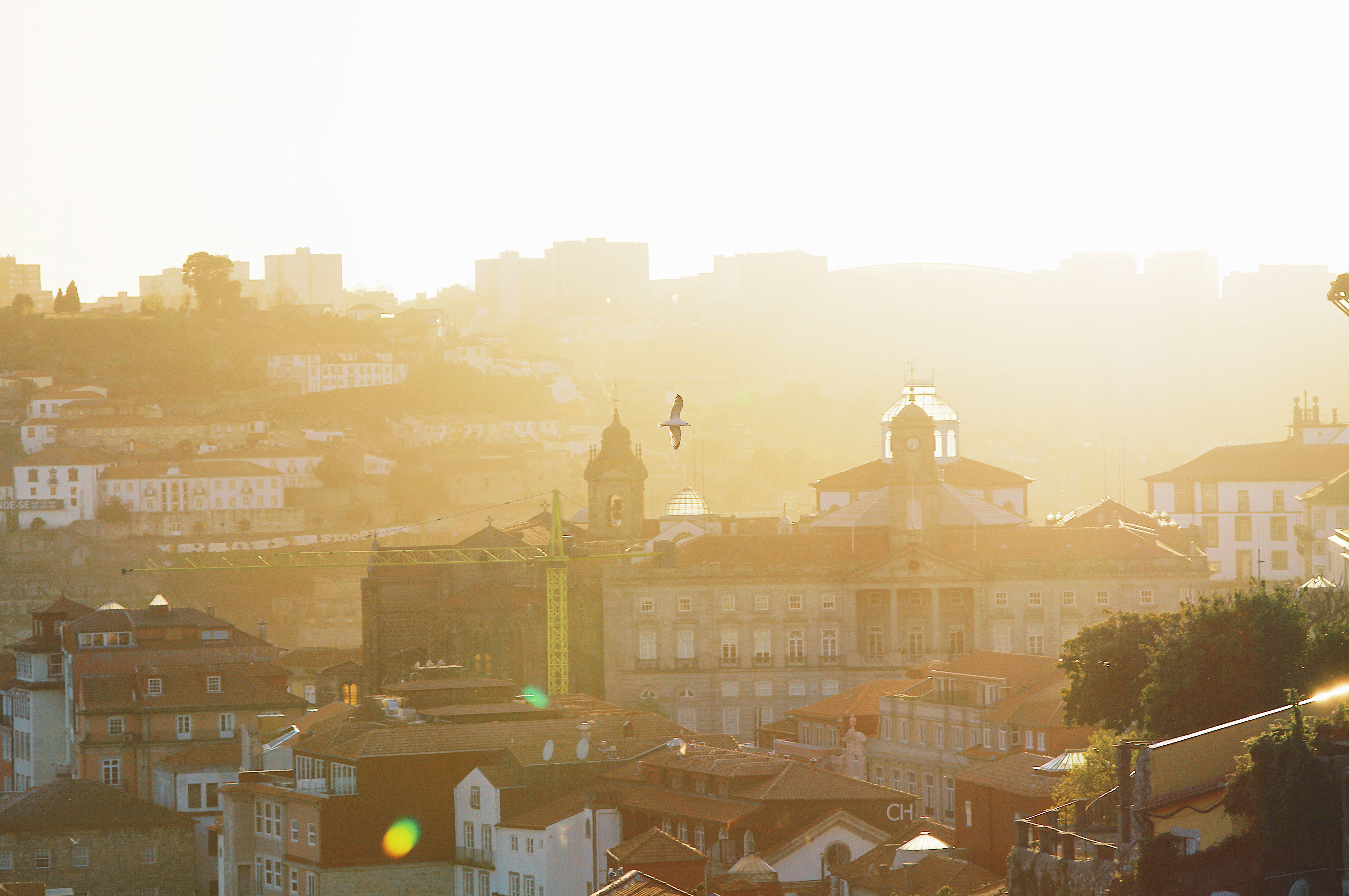 90+ Best Porto Photos · 100% Free Download · Pexels Stock Photos