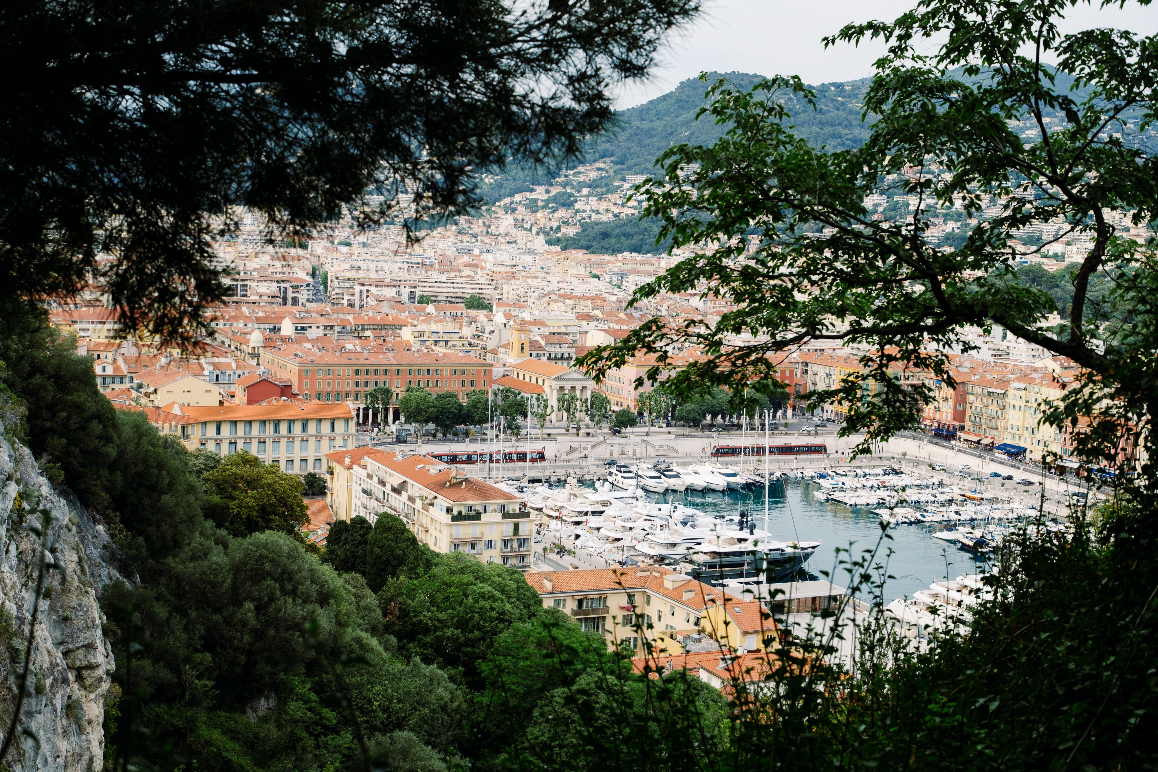 A view of the harbor from a hillside · Free Stock Photo