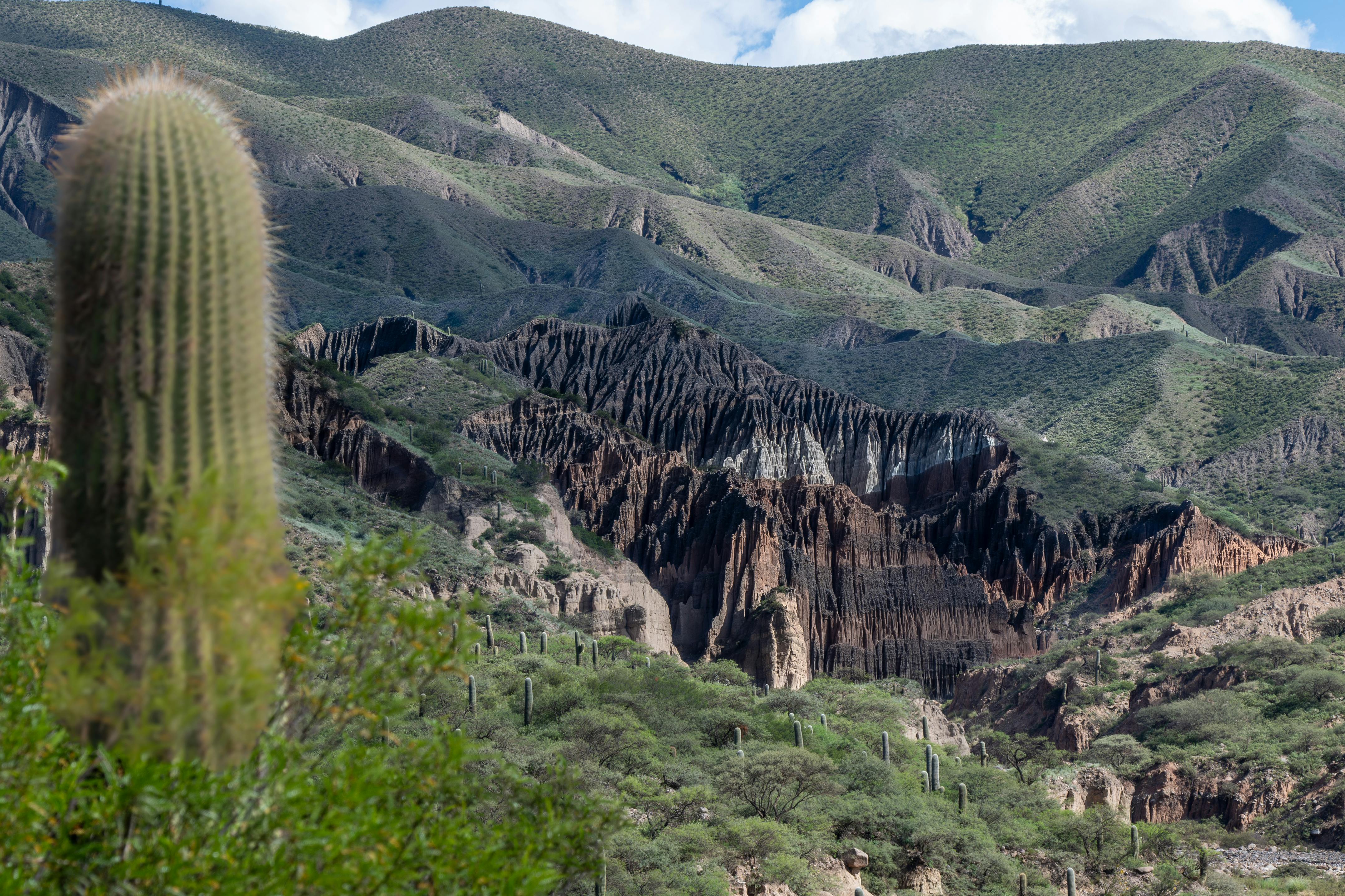 Marcelo Gonzalez - Fotografía