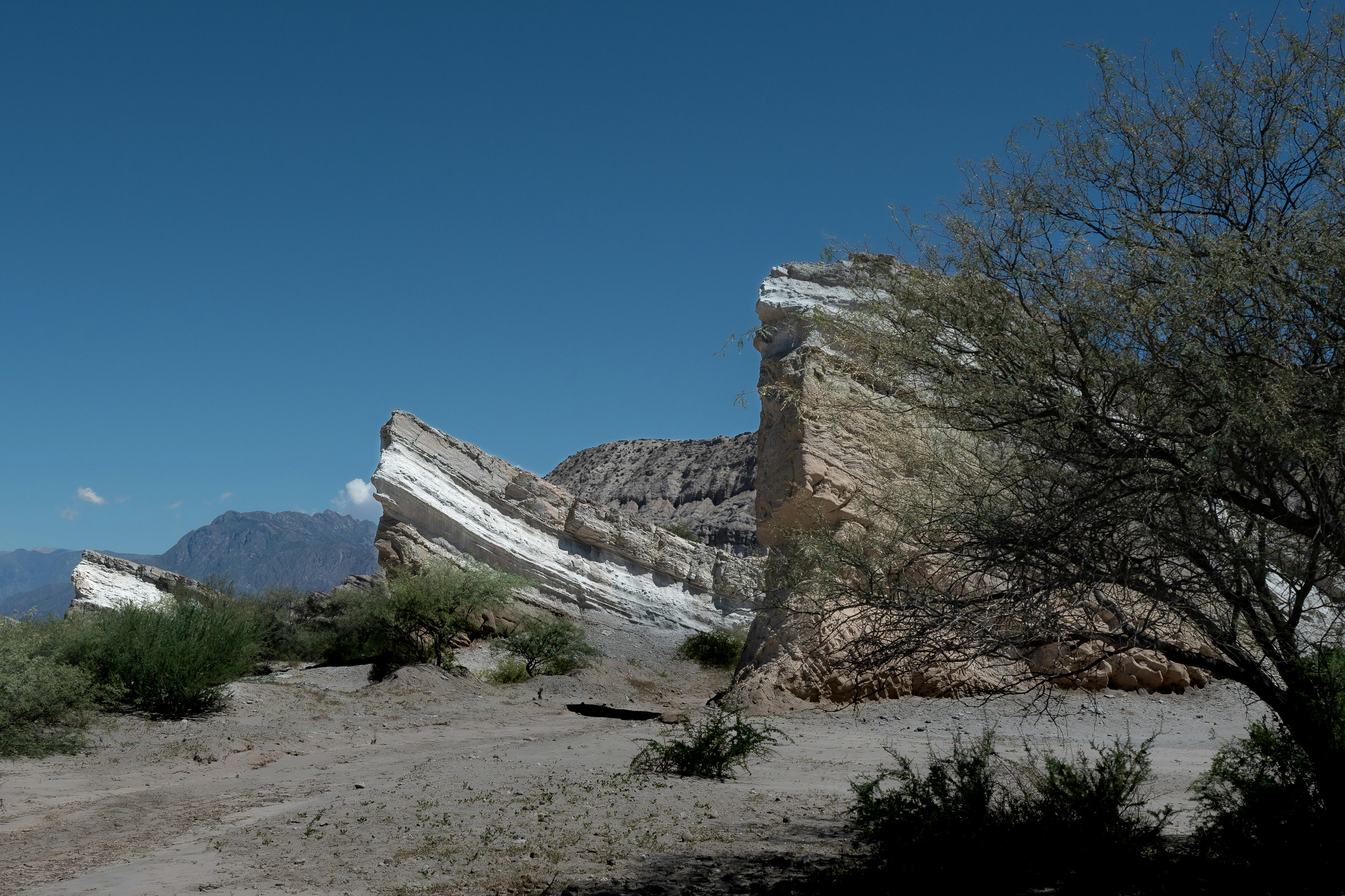 Marcelo Gonzalez - Fotografía