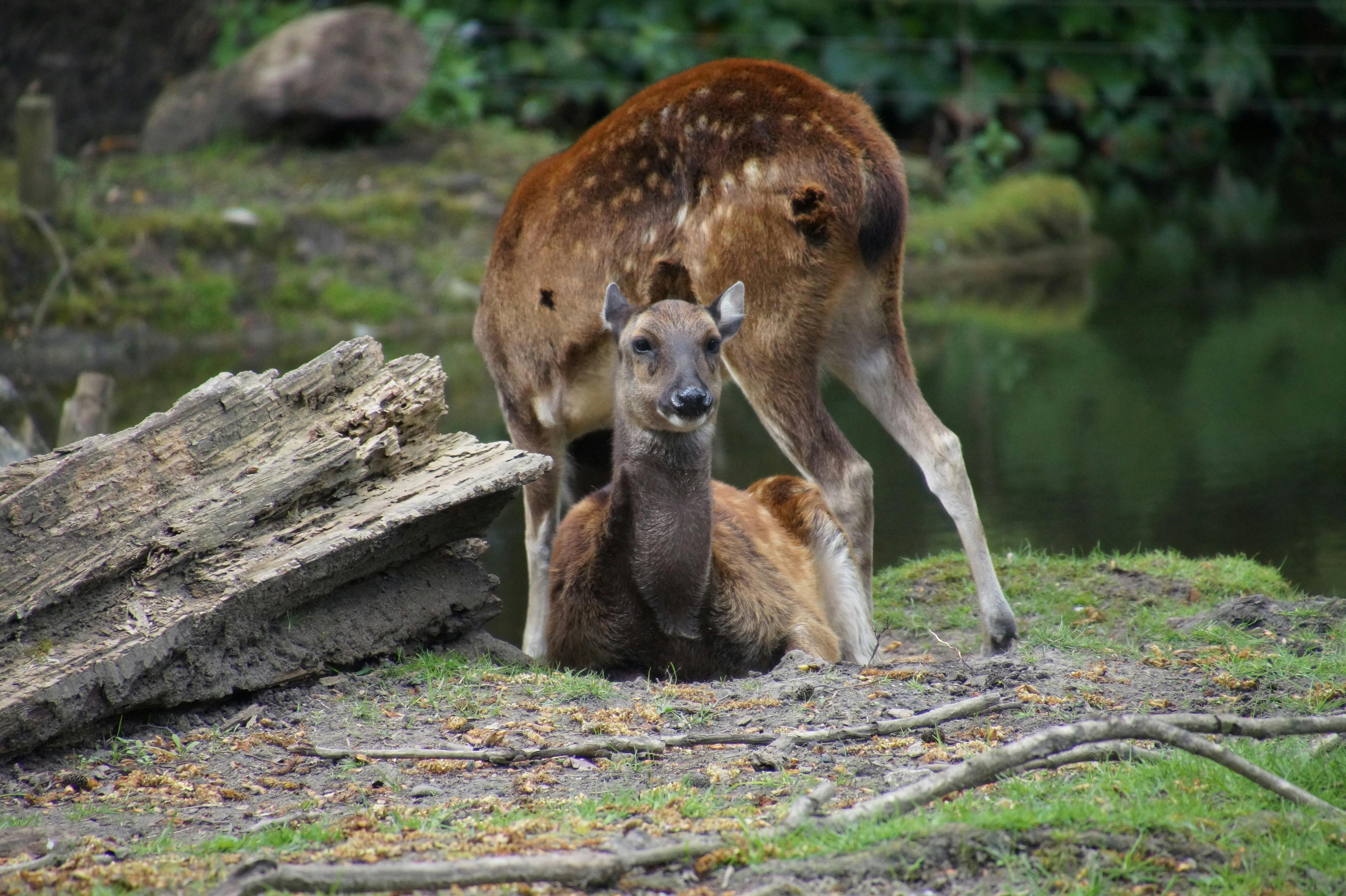 Lukas Lussi - Photography