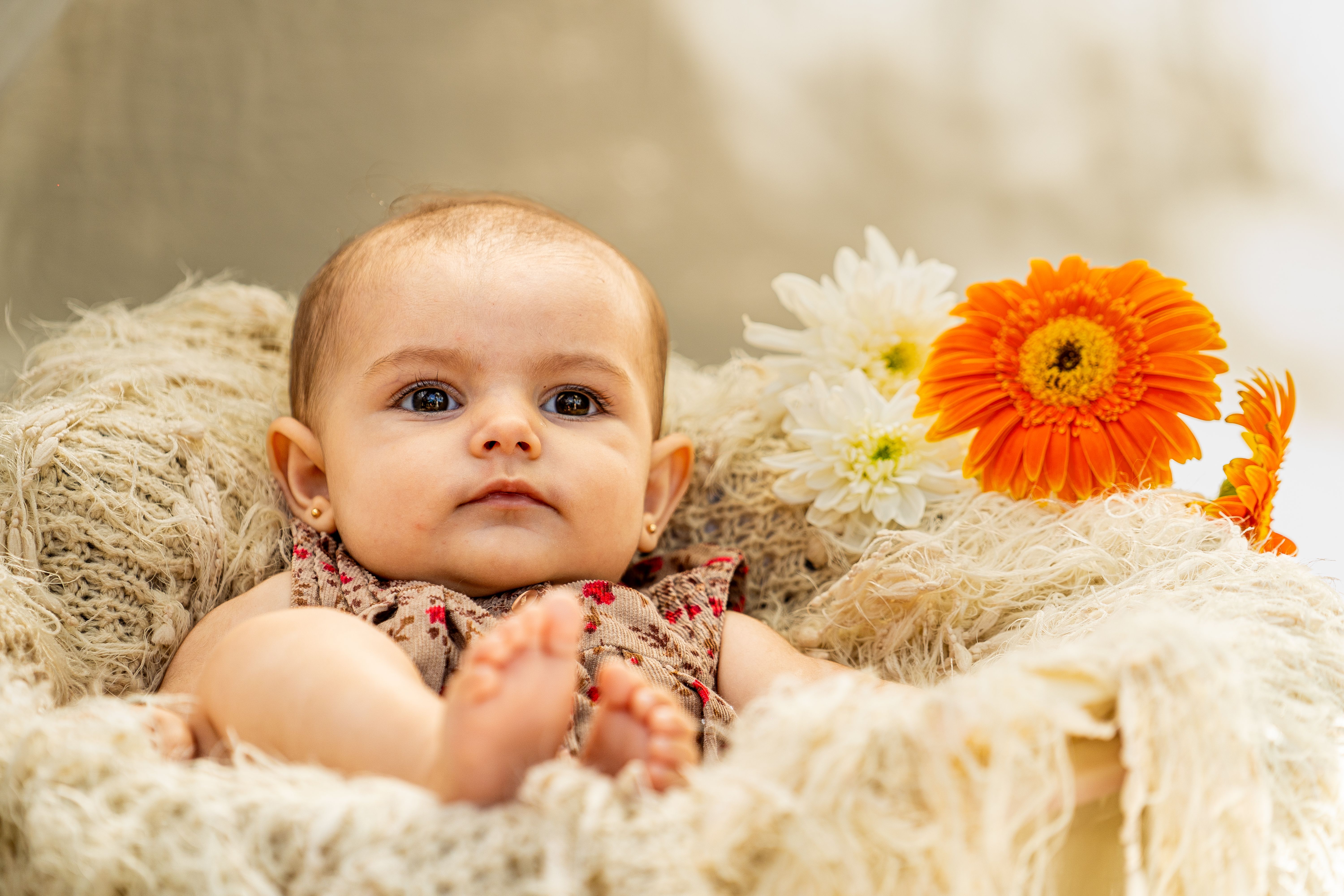 Spring Family Time Background Photos, Download The BEST Free Spring ...