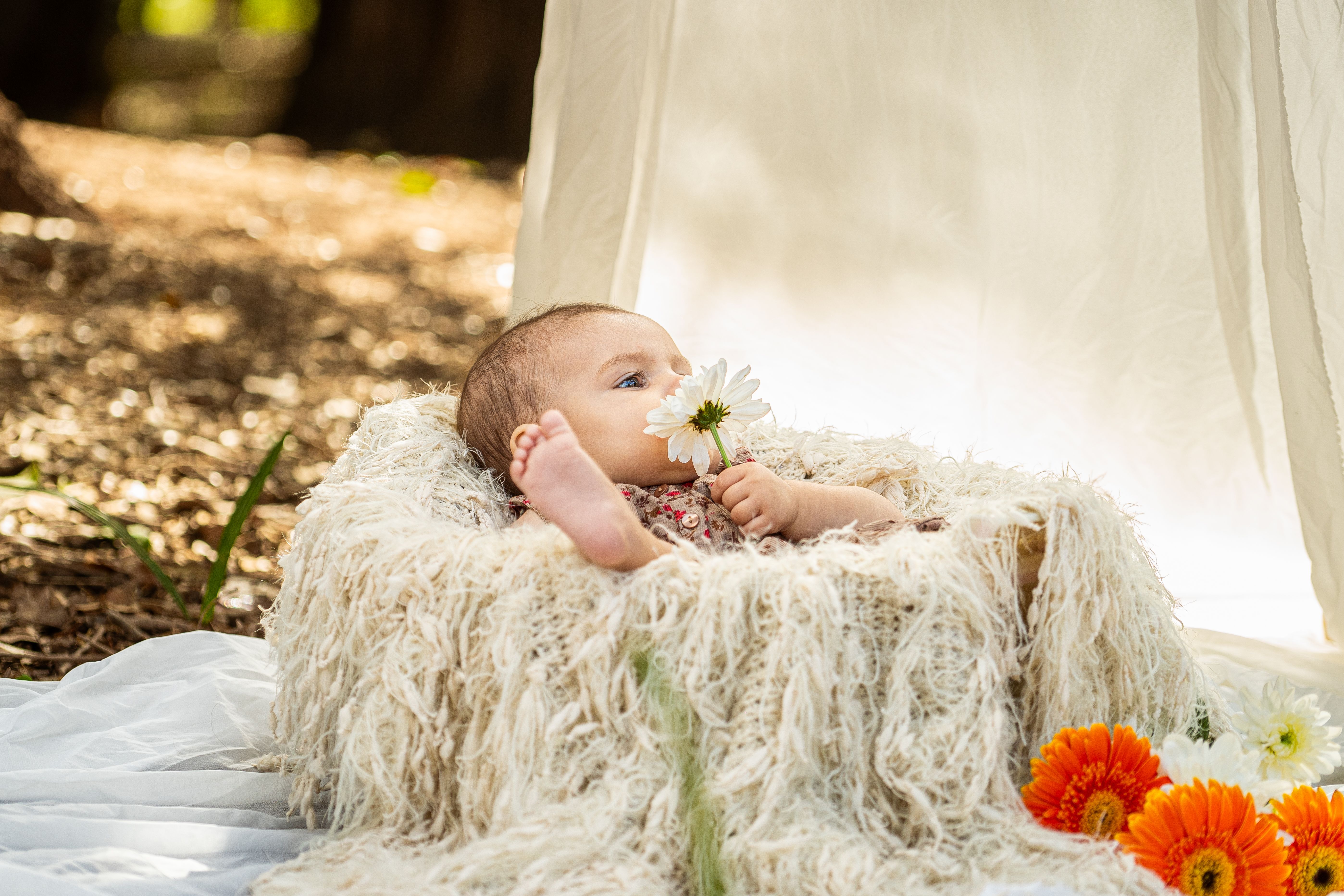 Adorable Baby Laying Smelling Flowers Outside · Free Stock Photo