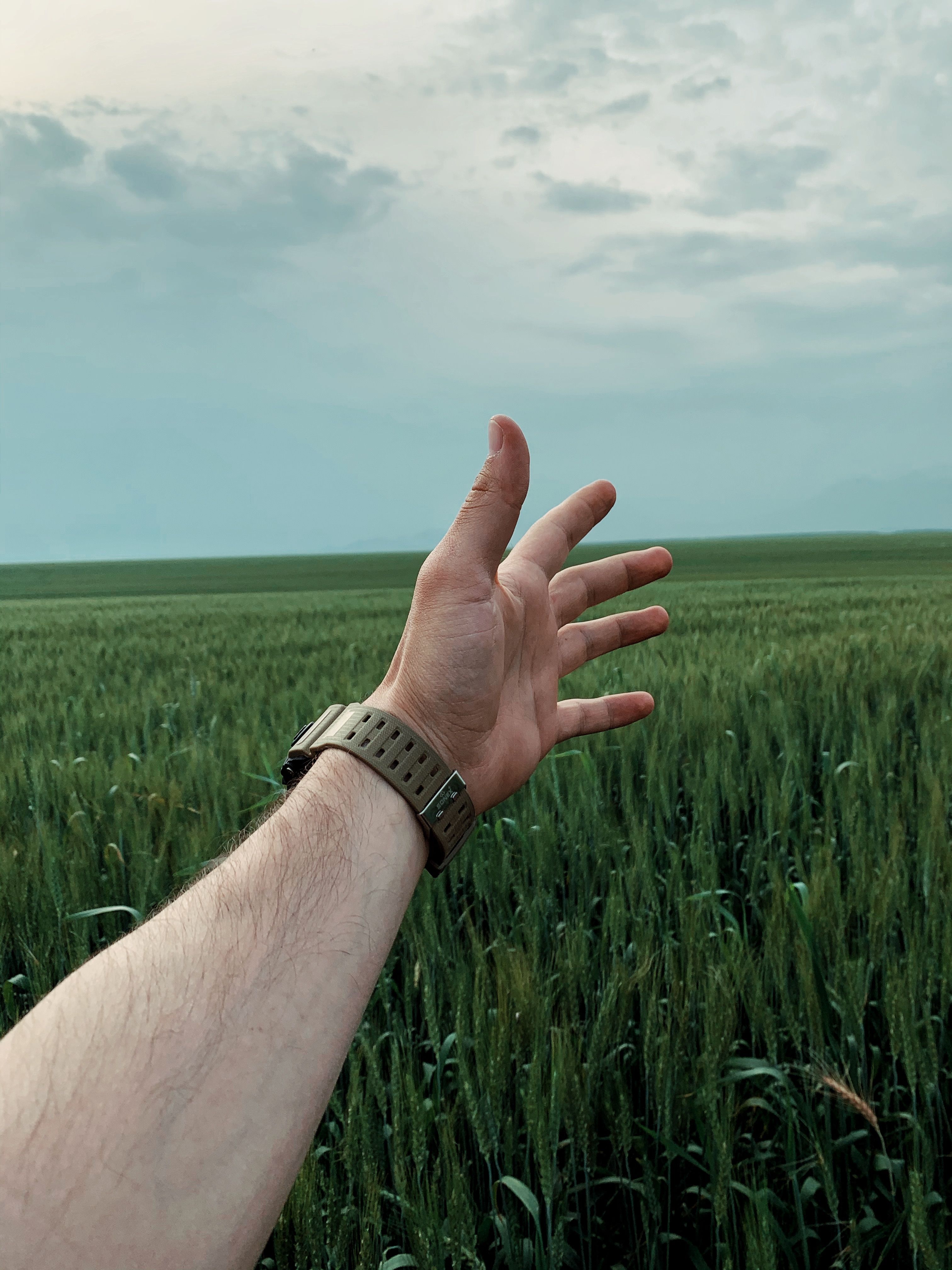 Man Hand over Green, Rural Field · Free Stock Photo
