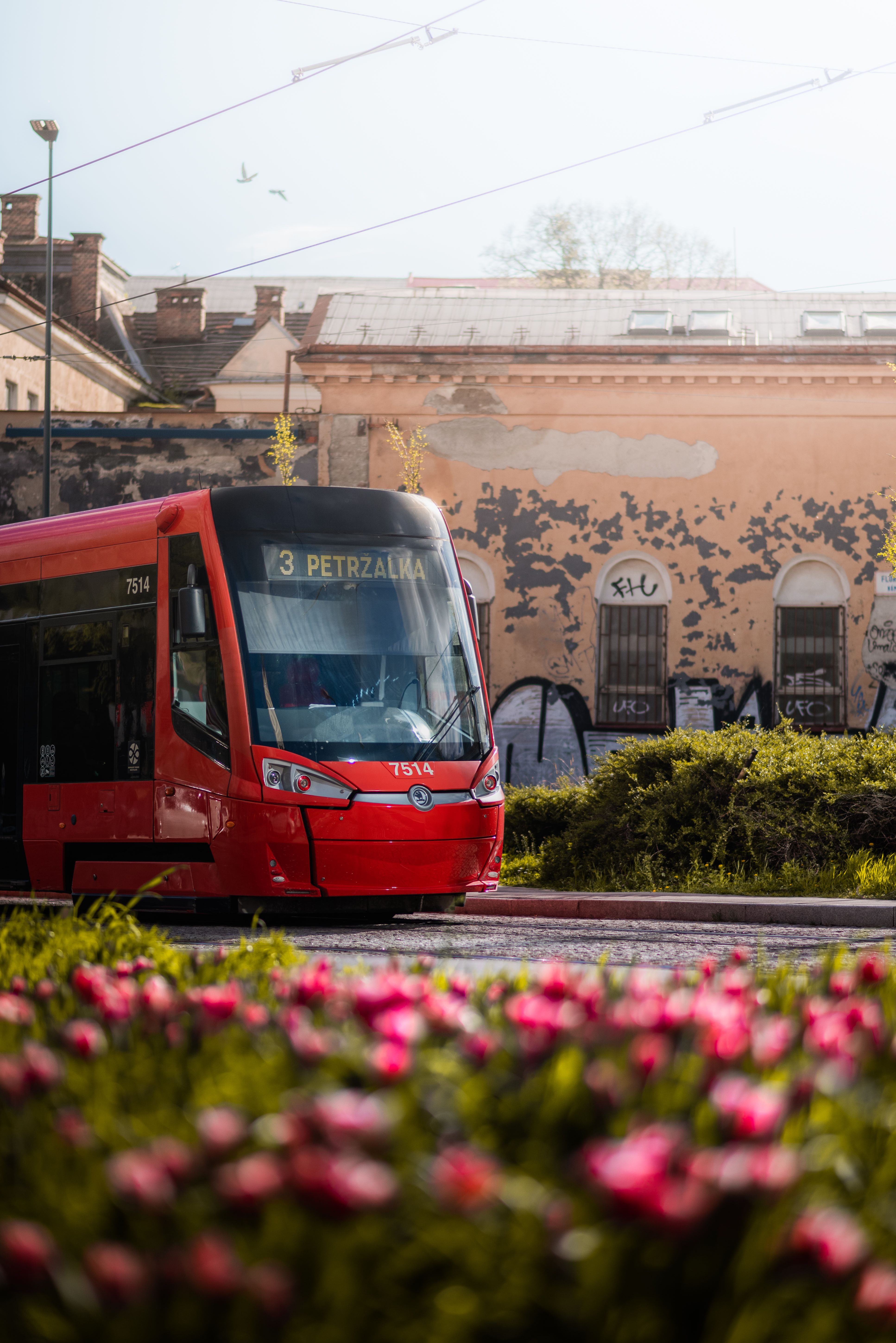 Tram Number 3 in Bratislava · Free Stock Photo