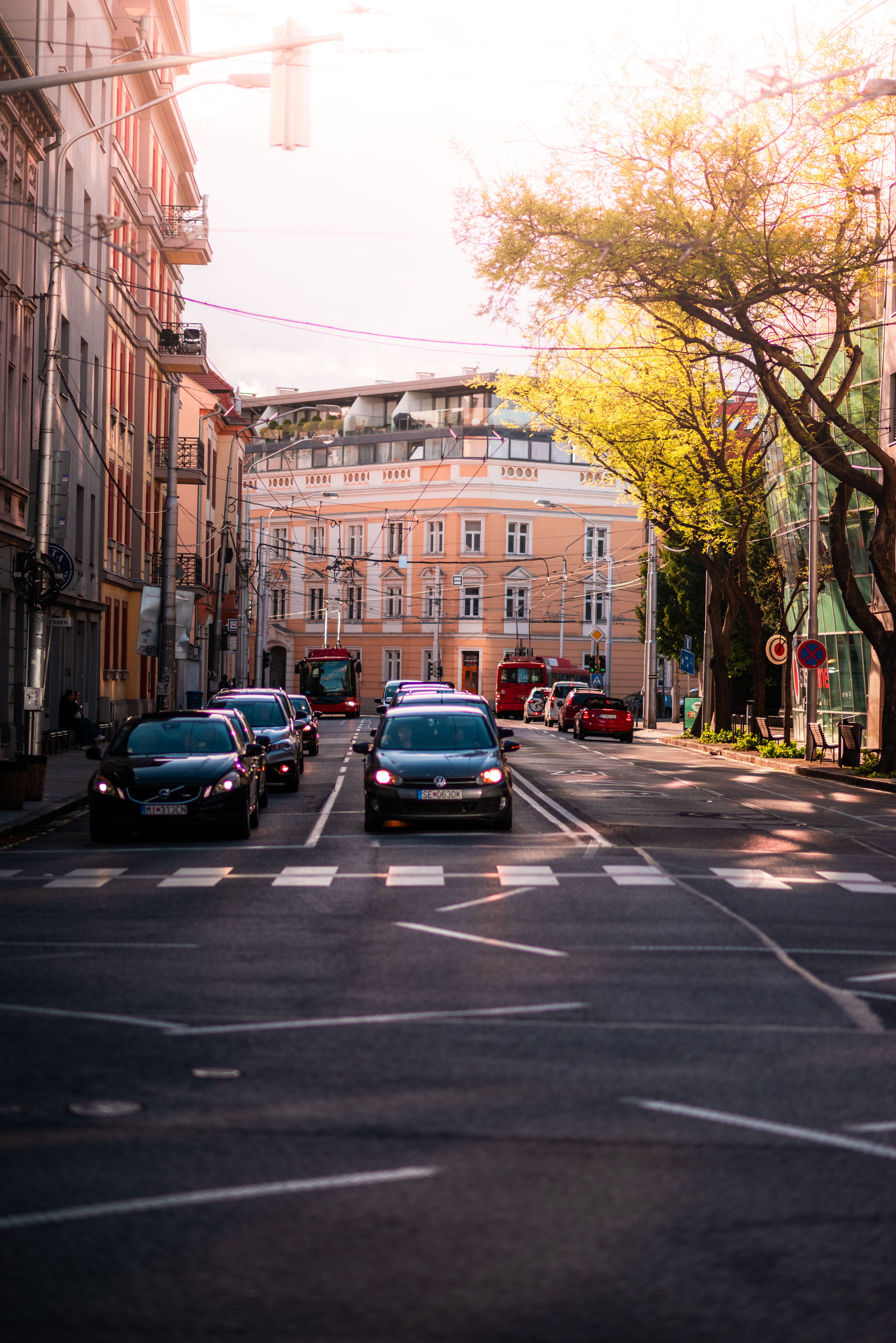 Cars on Street in City · Free Stock Photo