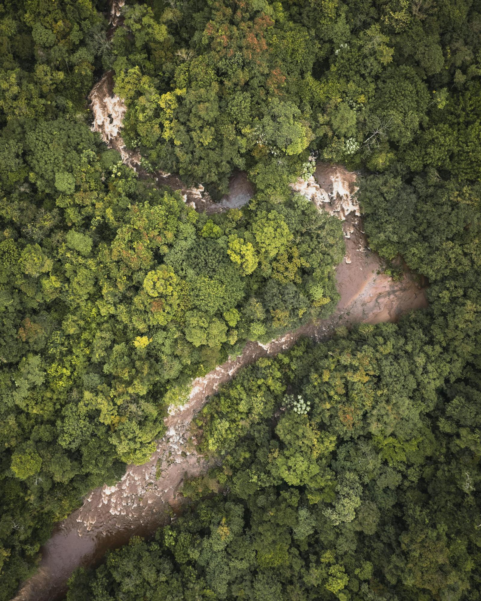 Green Writer Photos, Download The BEST Free Green Writer Stock Photos ...