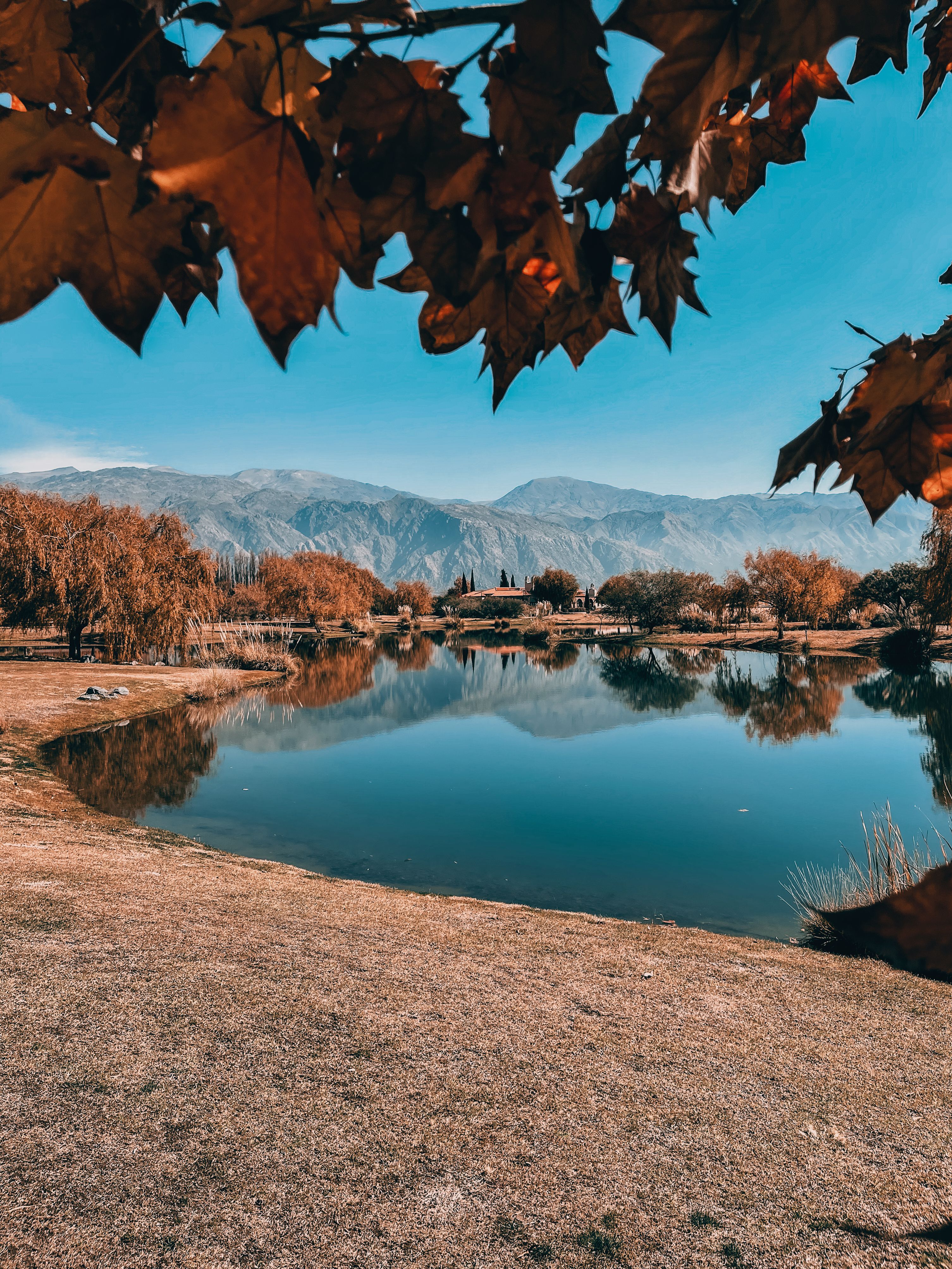 Brown Environment Photos, Download The BEST Free Brown Environment ...