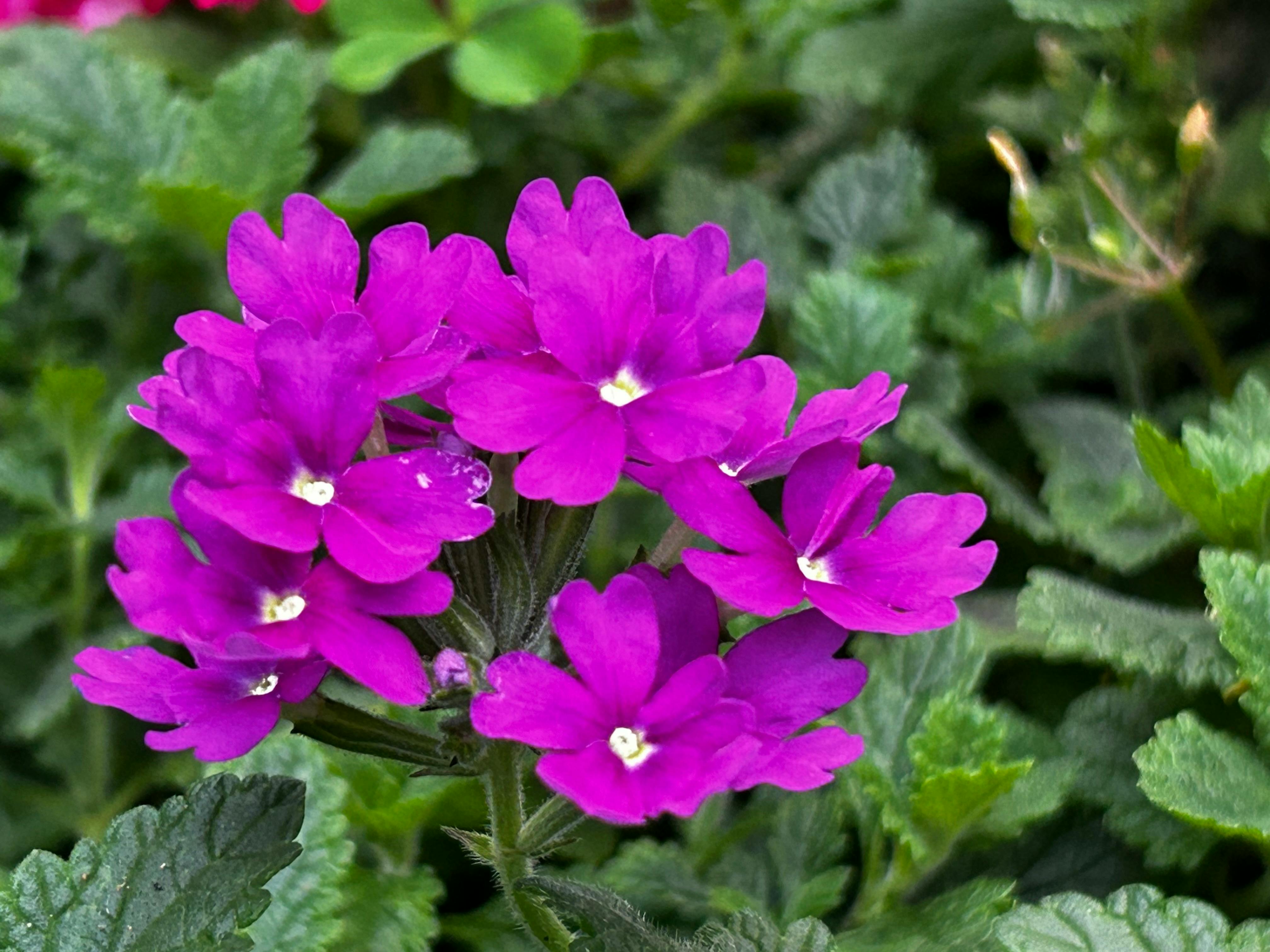 Catherine Huang - Photography