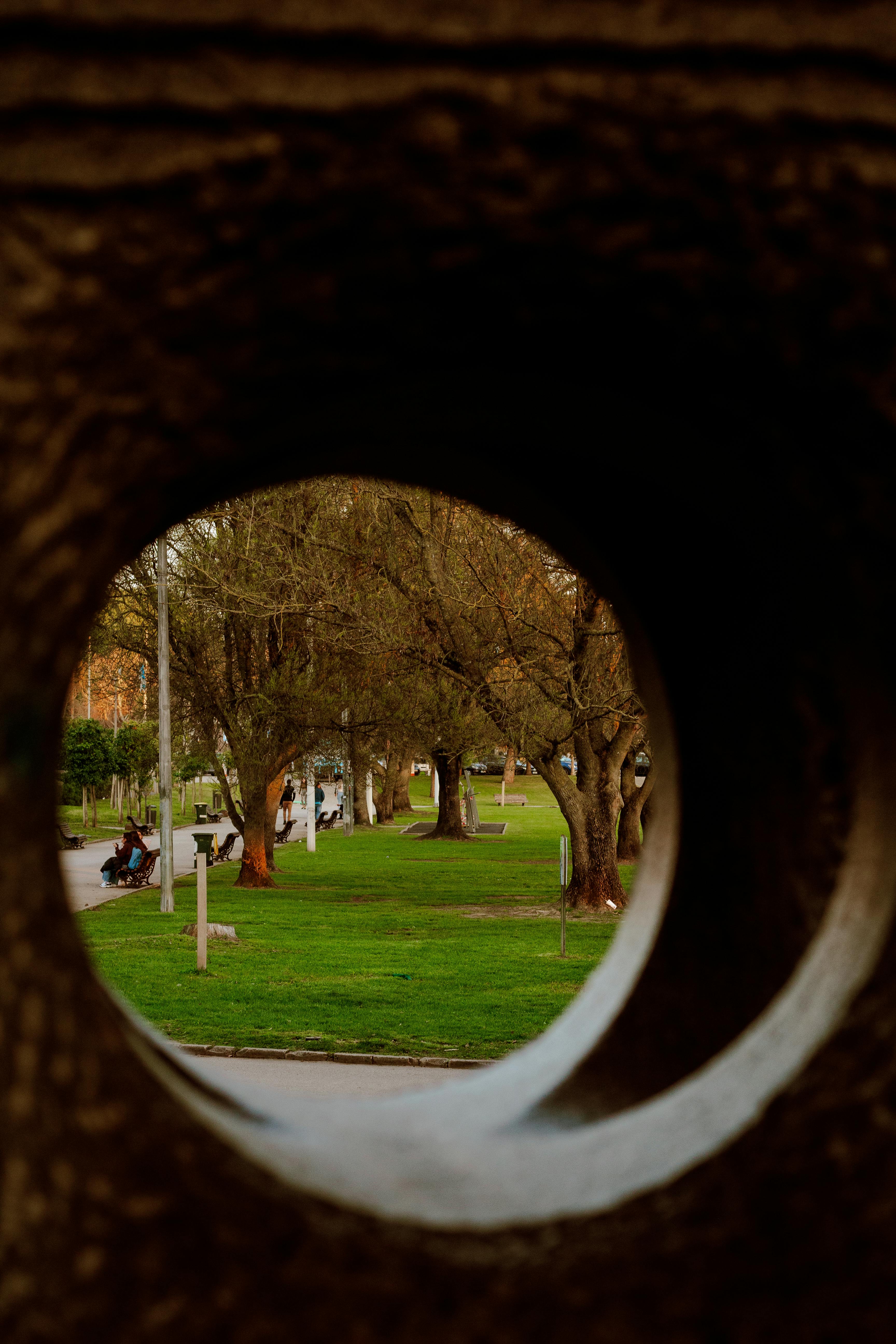 Park Trees behind Hole in Wall · Free Stock Photo