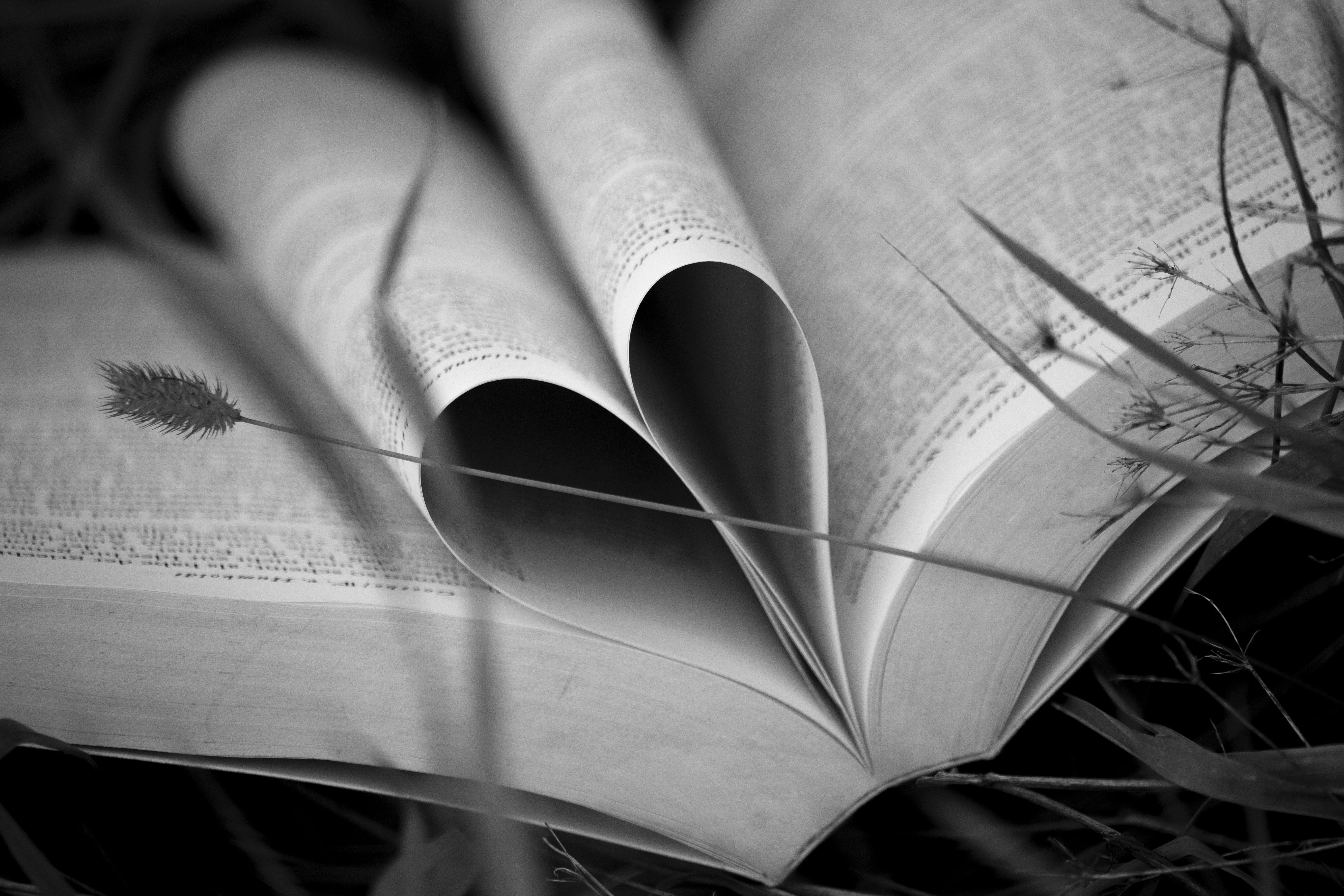 Romantic Library Photos, Download The BEST Free Romantic Library Stock ...