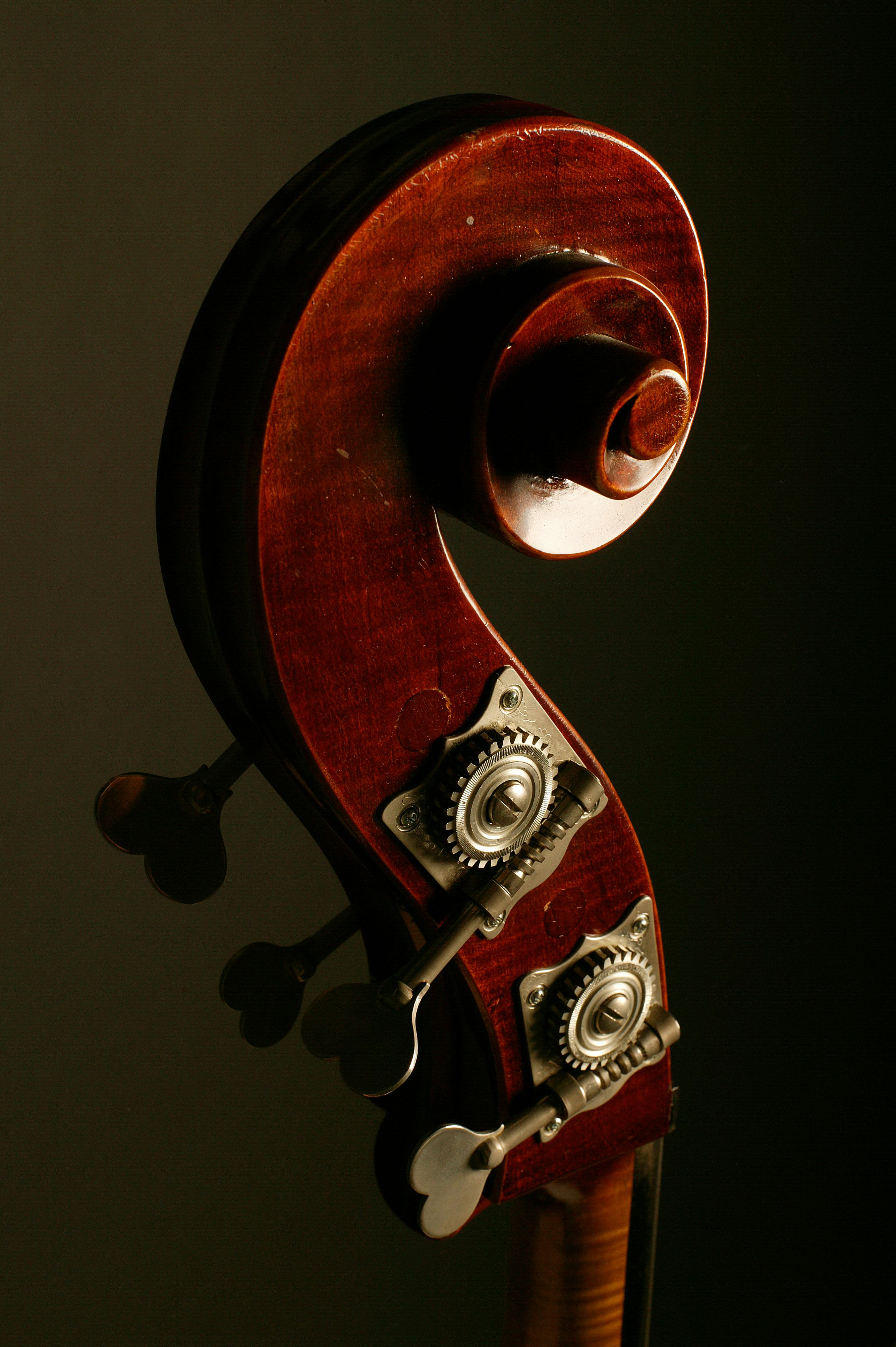 Close up of Double Bass · Free Stock Photo