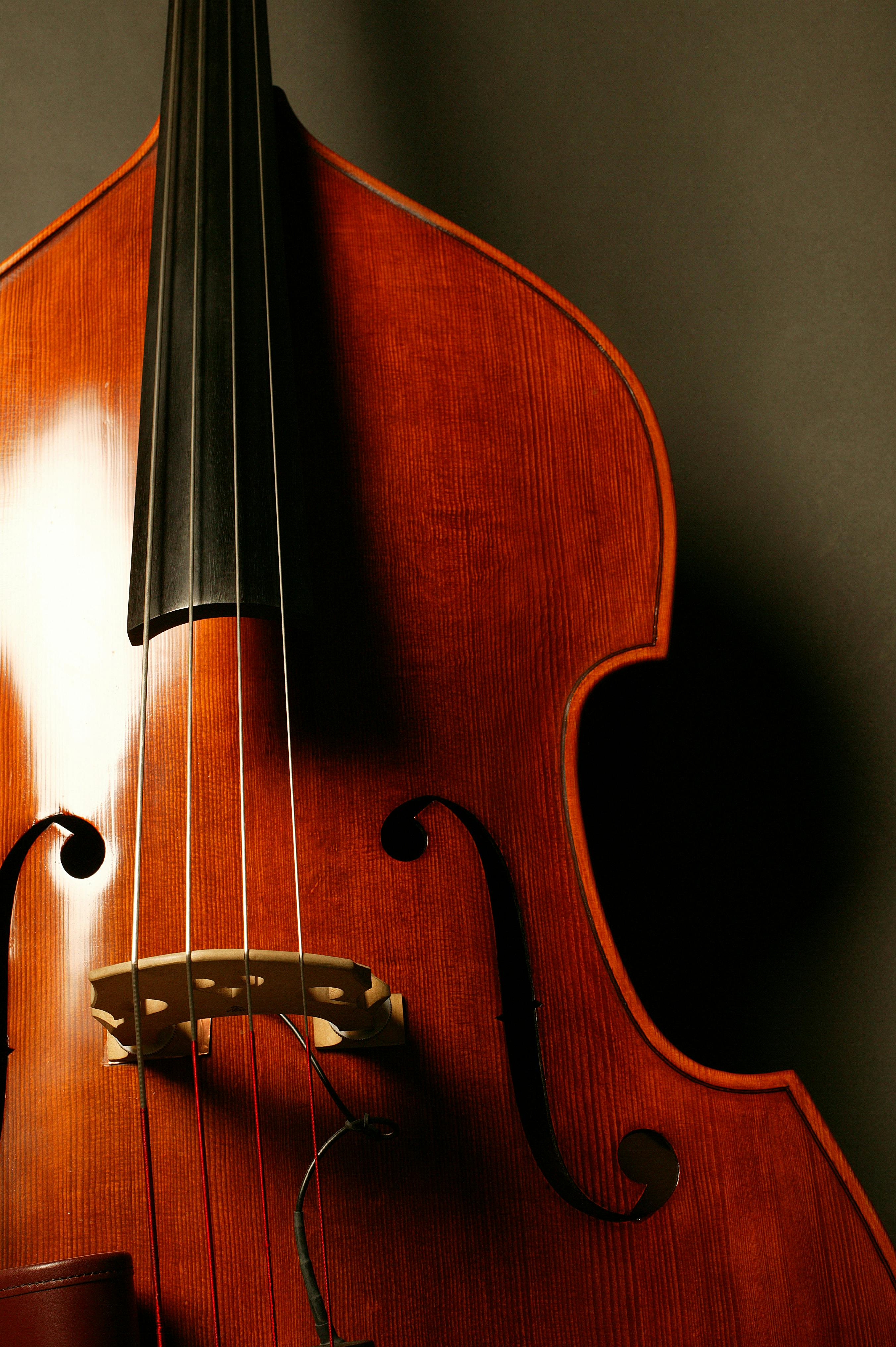 Wooden Cello Studio · Free Stock Photo