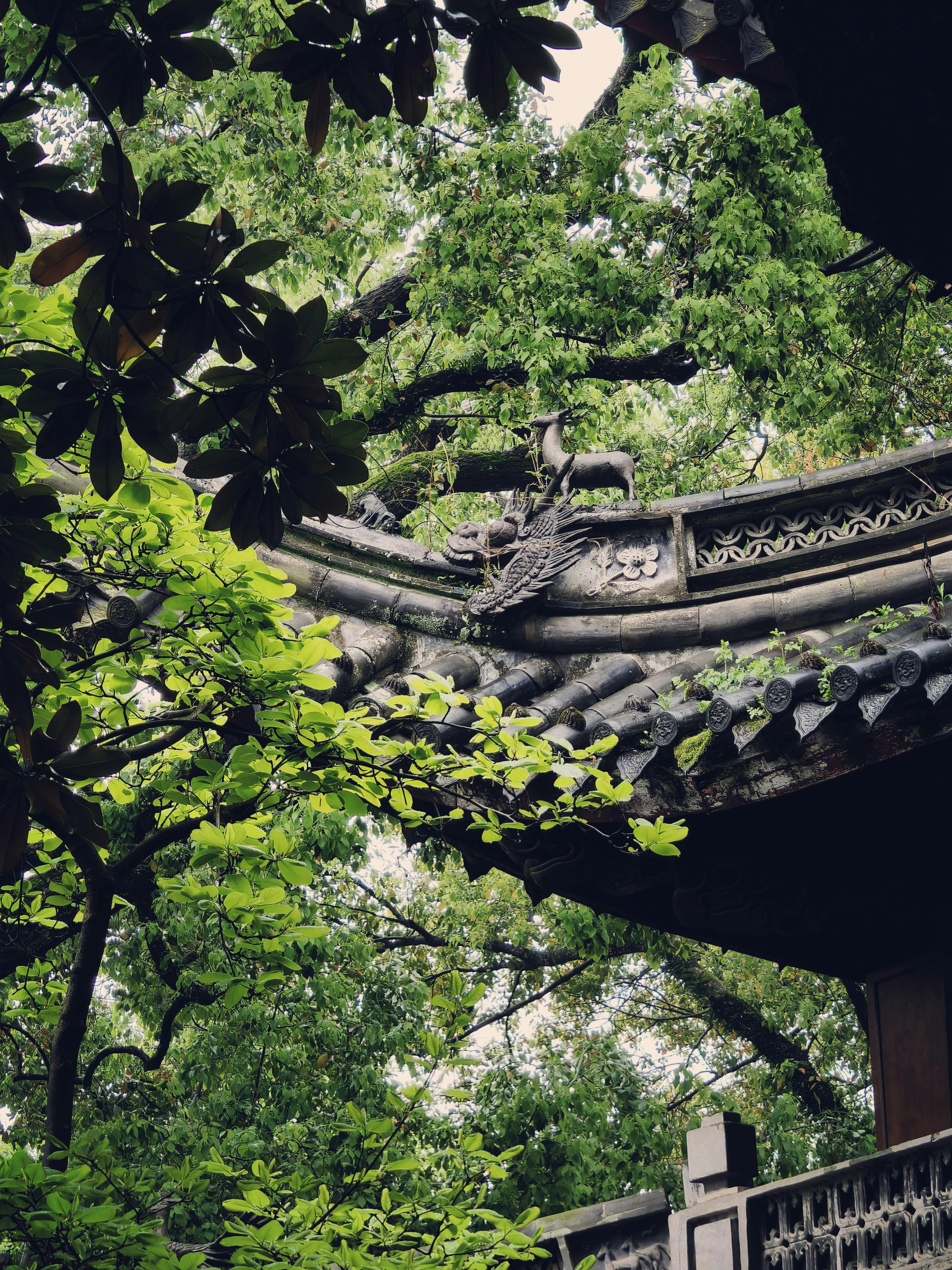 Traditional Rooftop of Temple · Free Stock Photo