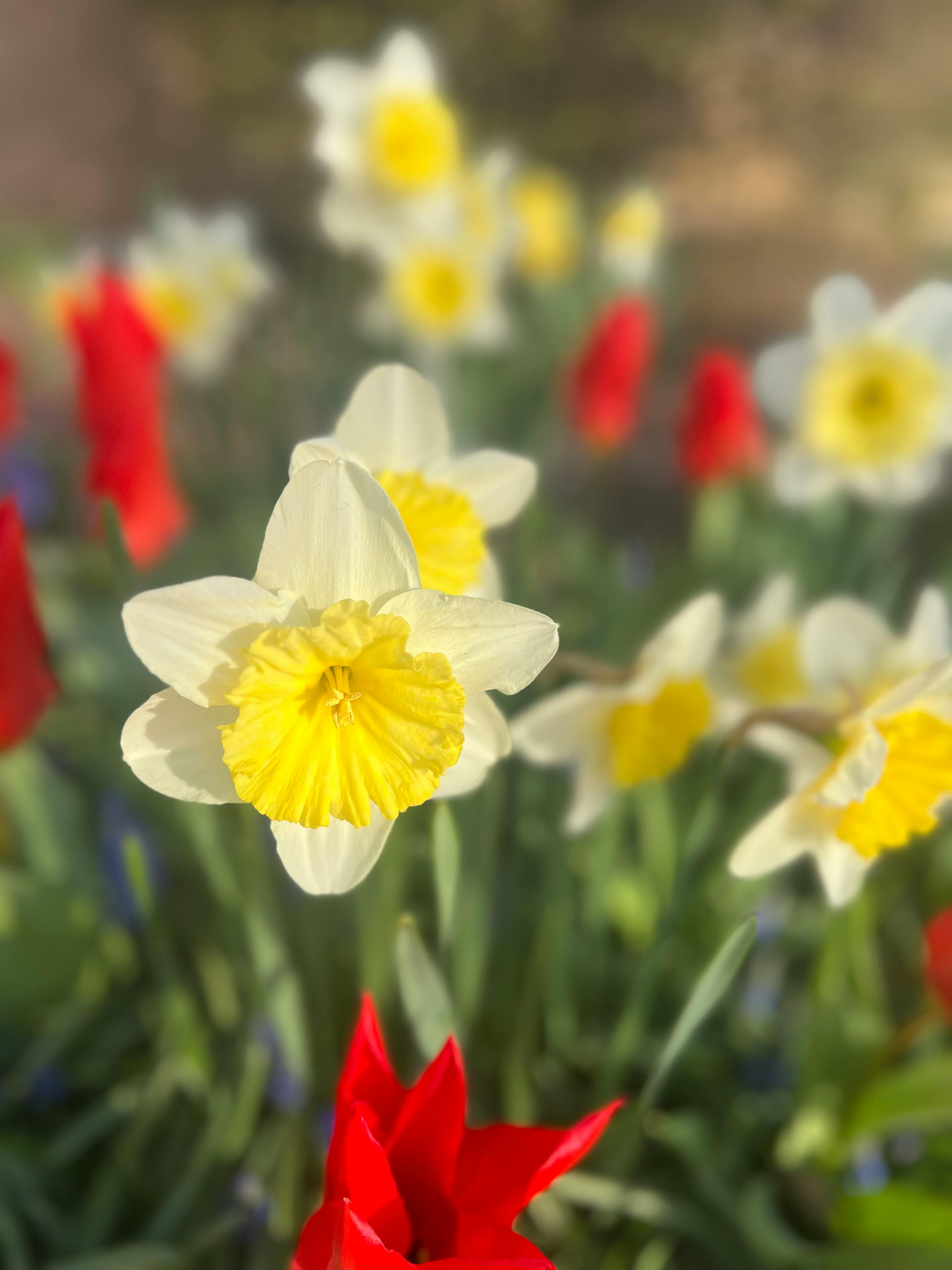 Nad Batayeh - Photography