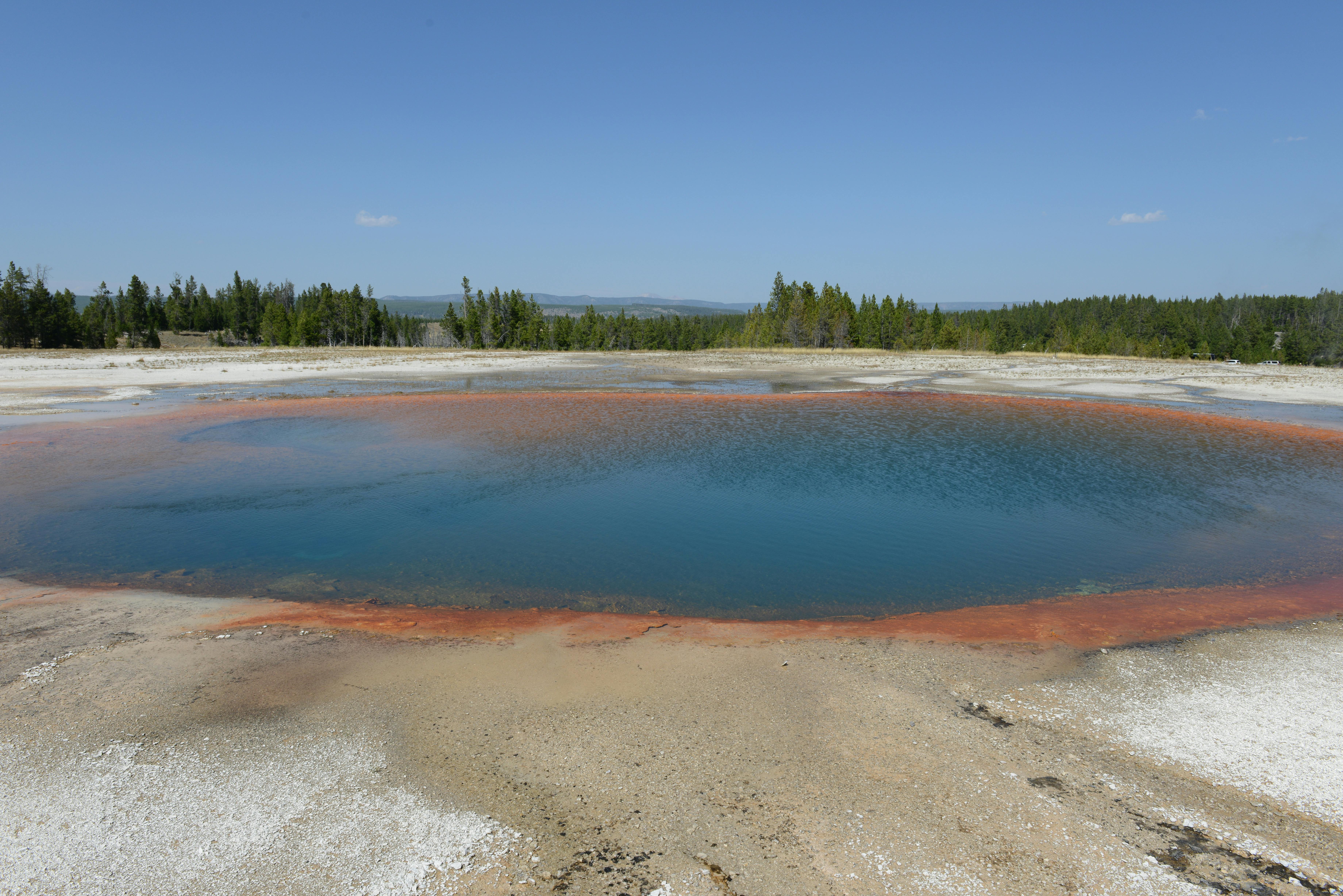 Water Pond in Yellowstone · Free Stock Photo