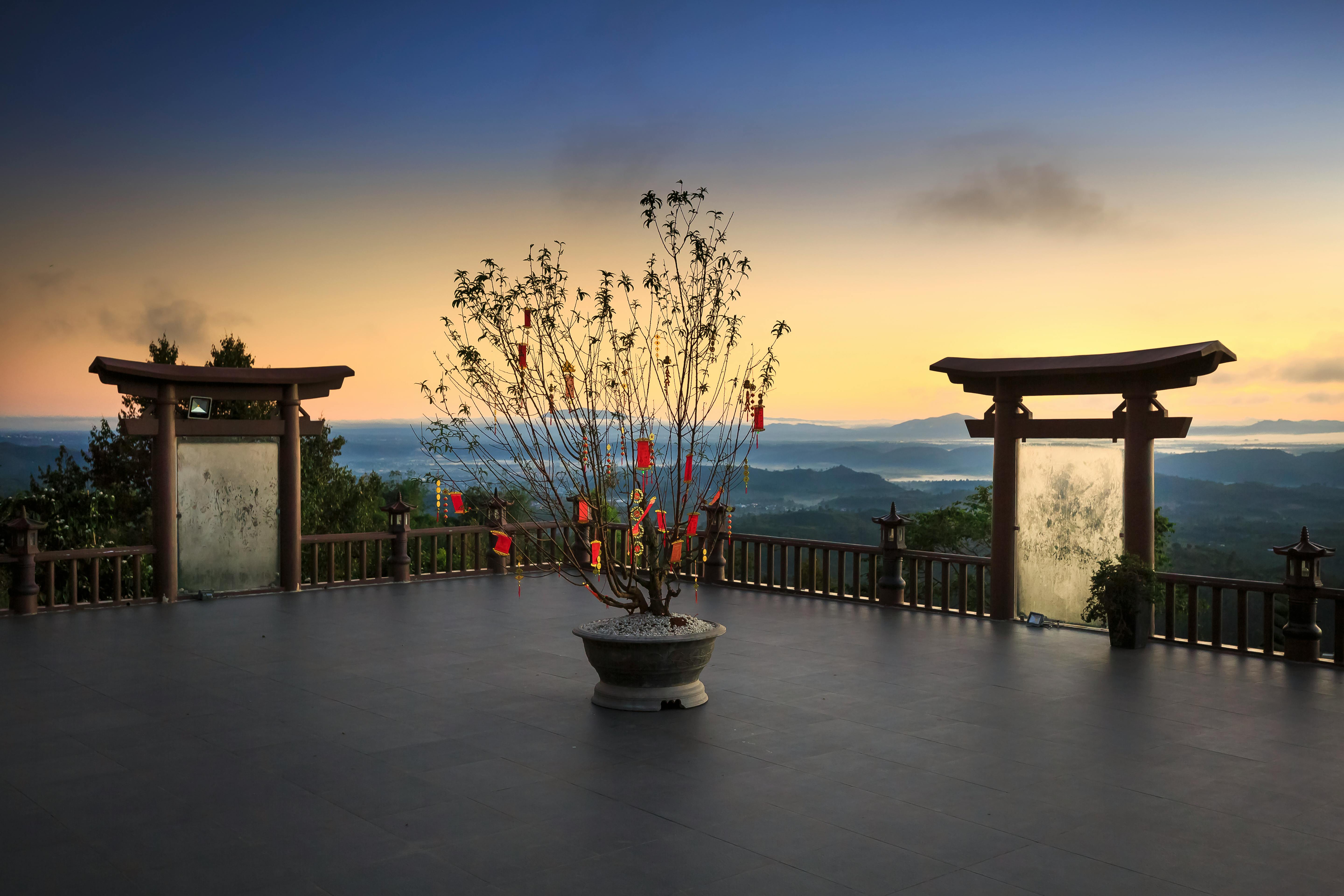 Wood Platform Photos, Download Free Wood Platform Stock Photos & HD Images