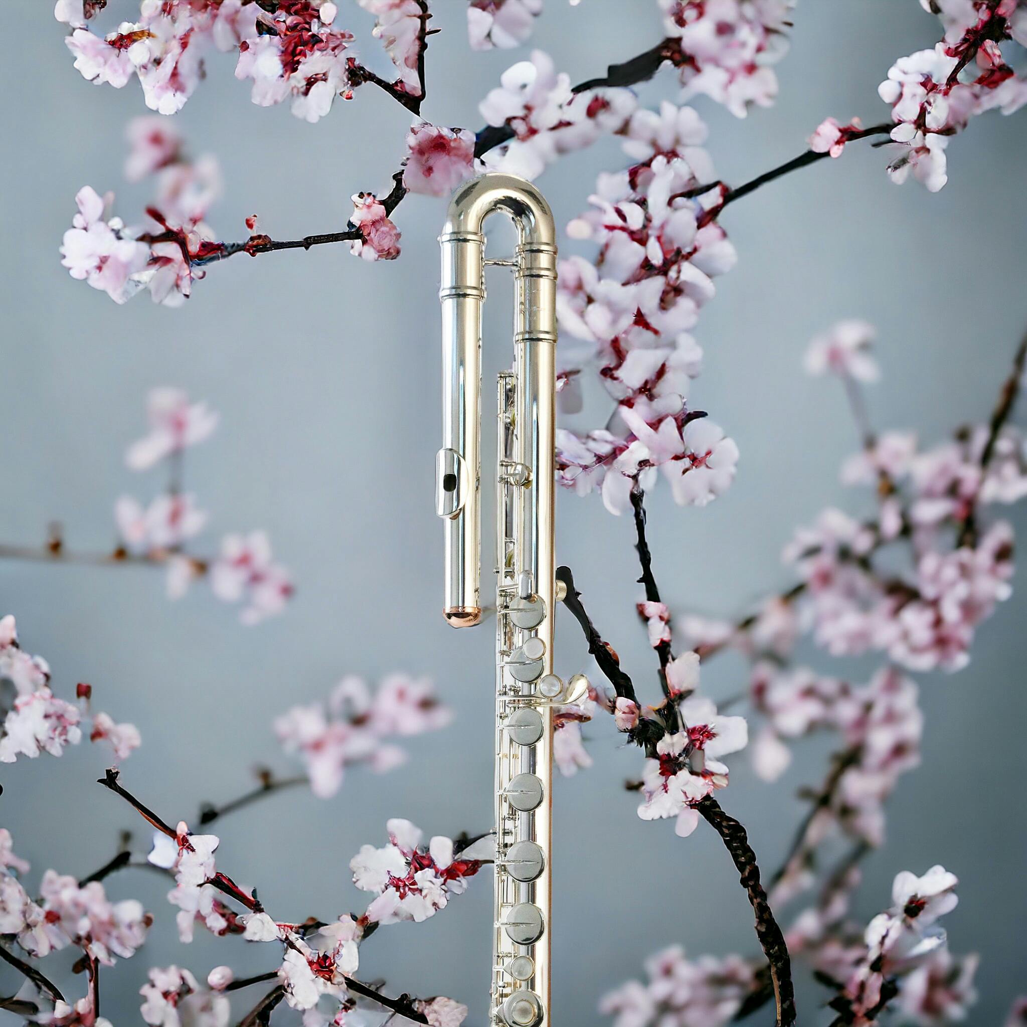 Flute and Cherry Blossom Twigs · Free Stock Photo