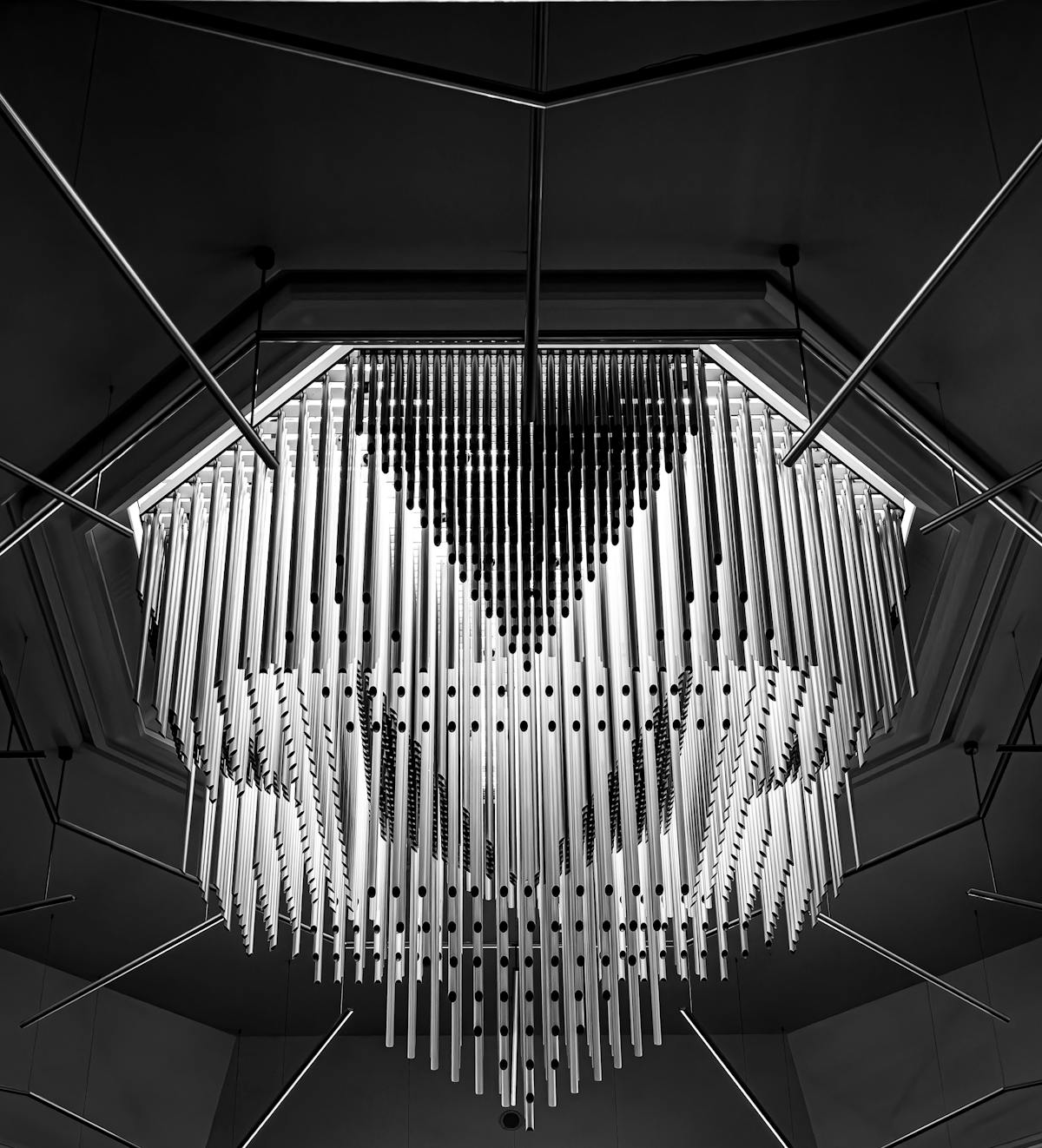 Flyer Design Photos, Download The BEST Free Flyer Design Stock Photos ...