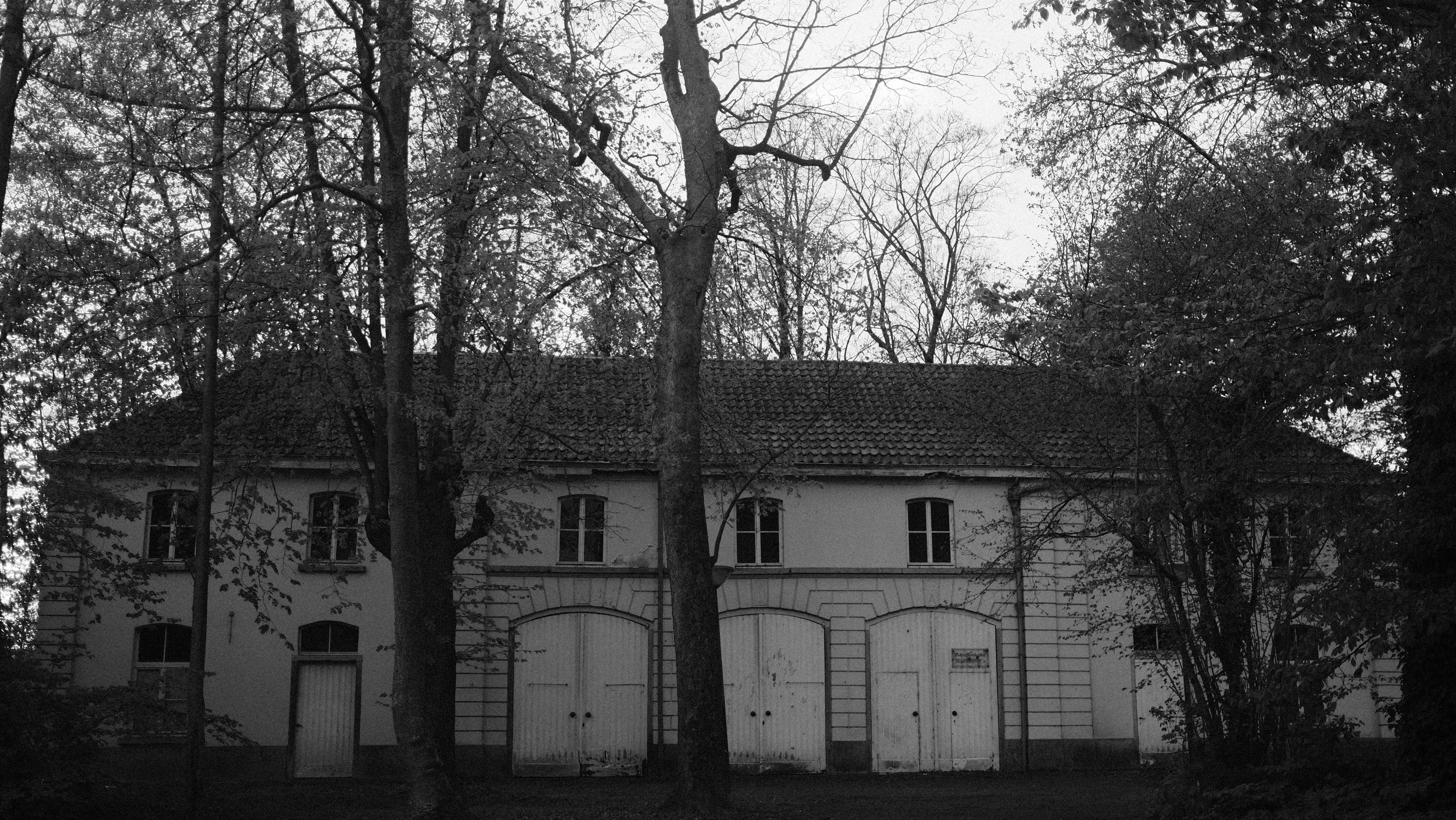 Stable among Trees · Free Stock Photo