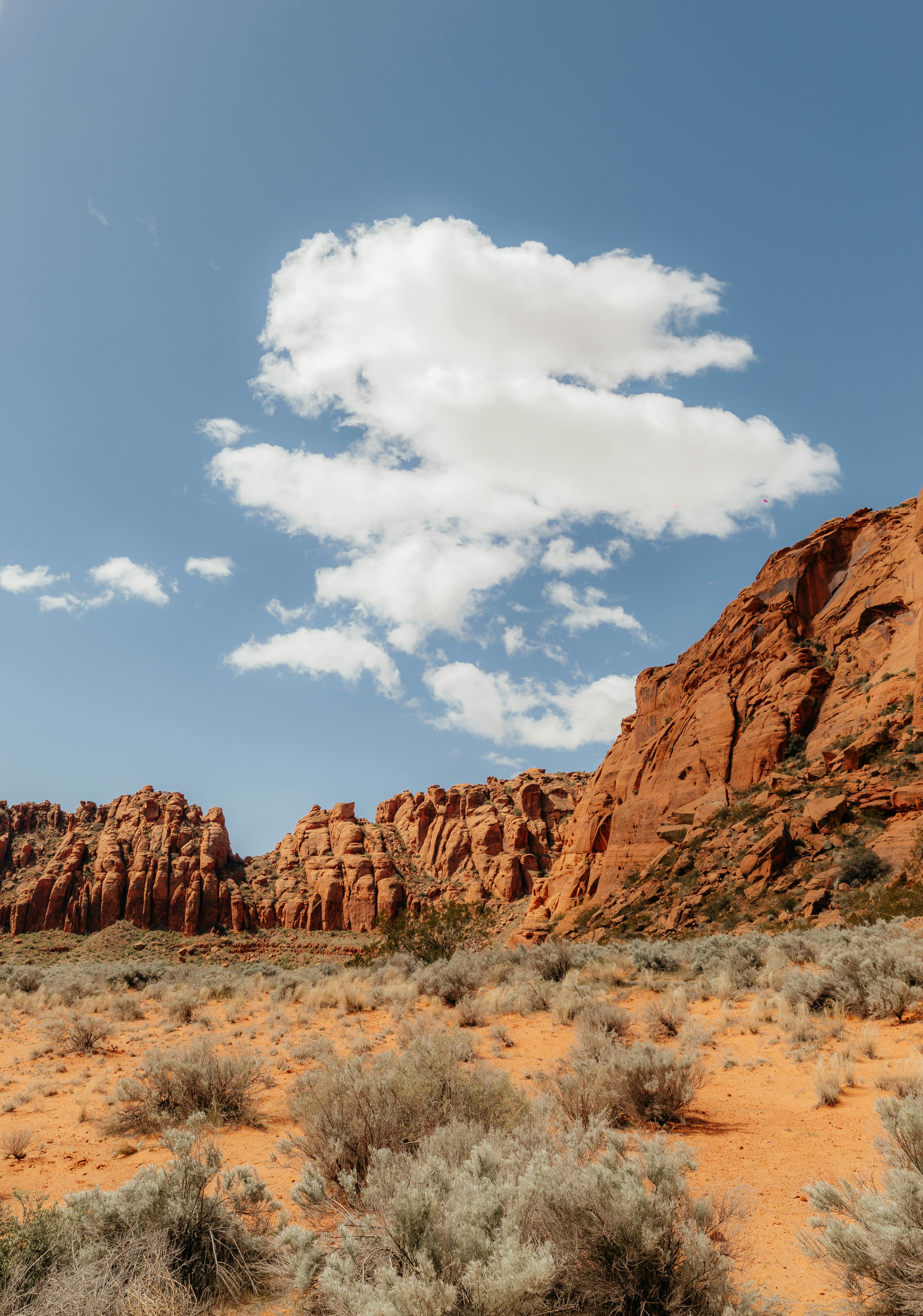 Sage Bushes in Arid Canyon in Utah · Free Stock Photo