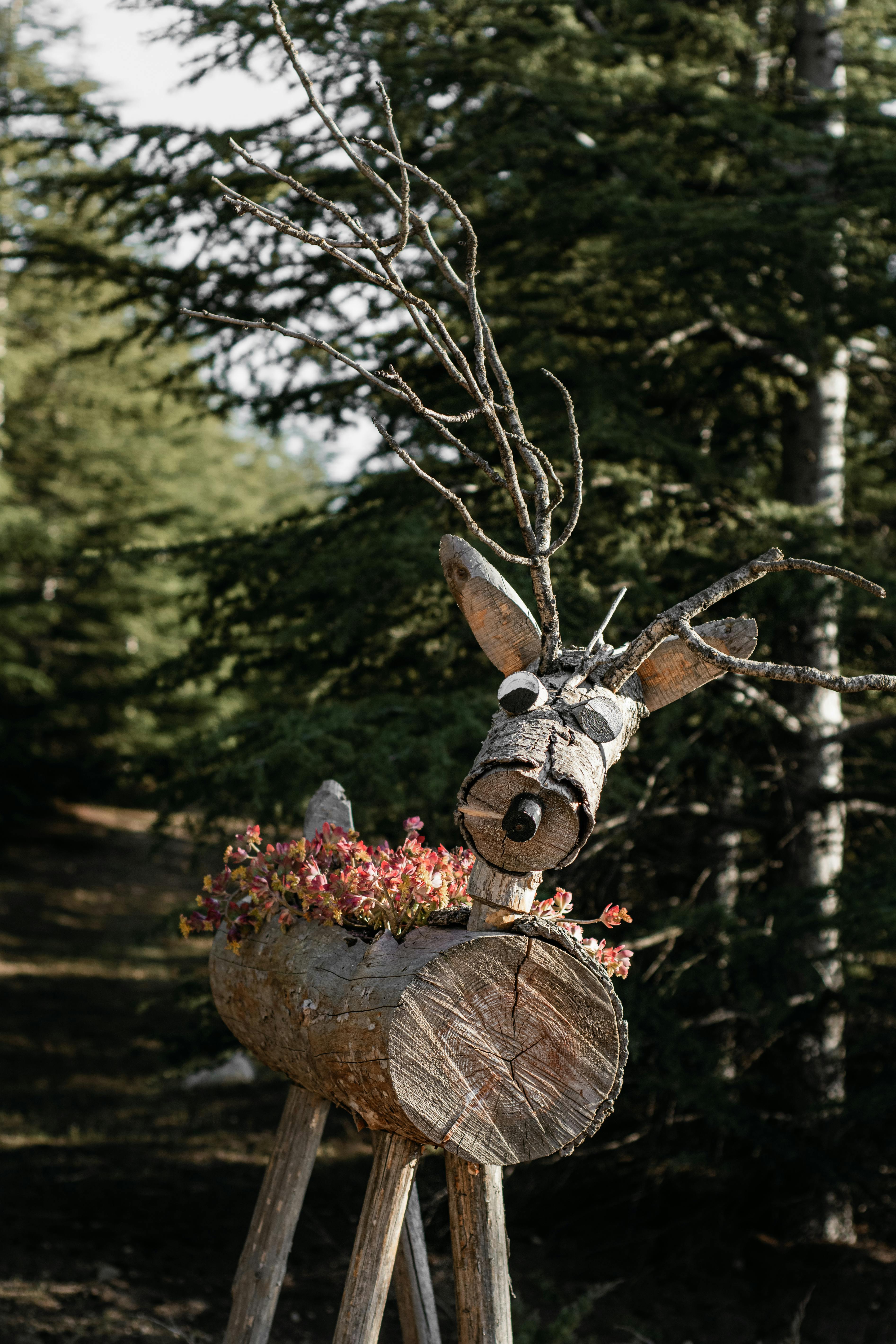 Wooden Sculpture of Reindeer in Forest · Free Stock Photo
