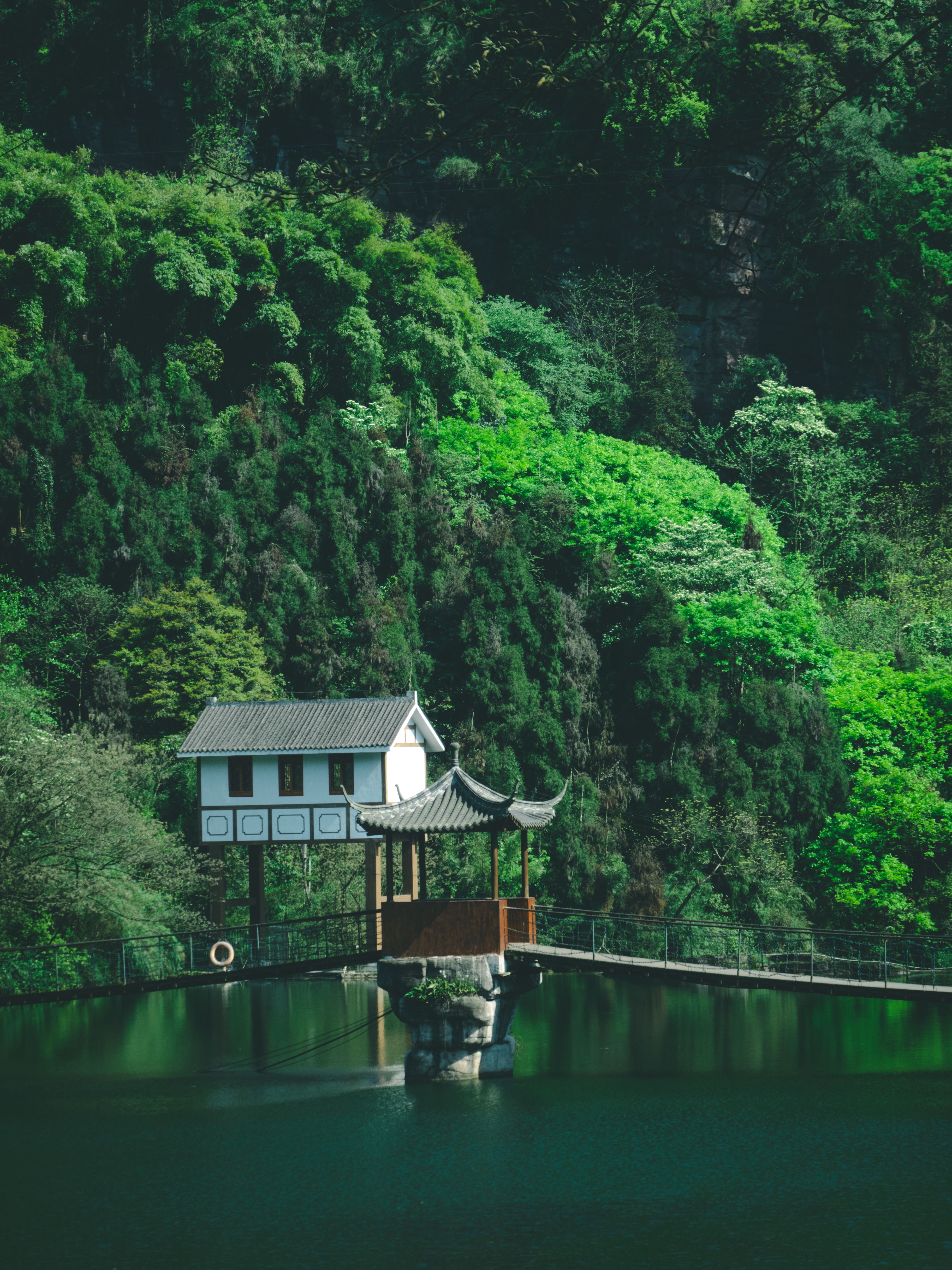 100+ melhores imagens de Gyumolcs Stilt Zelf · Download 100% grátis ...