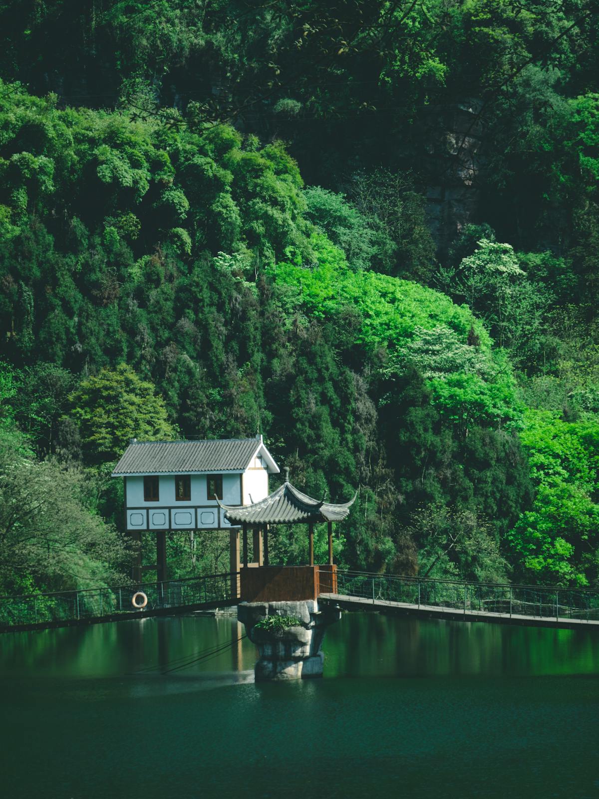 Stilt House Photos, Download The BEST Free Stilt House Stock Photos ...