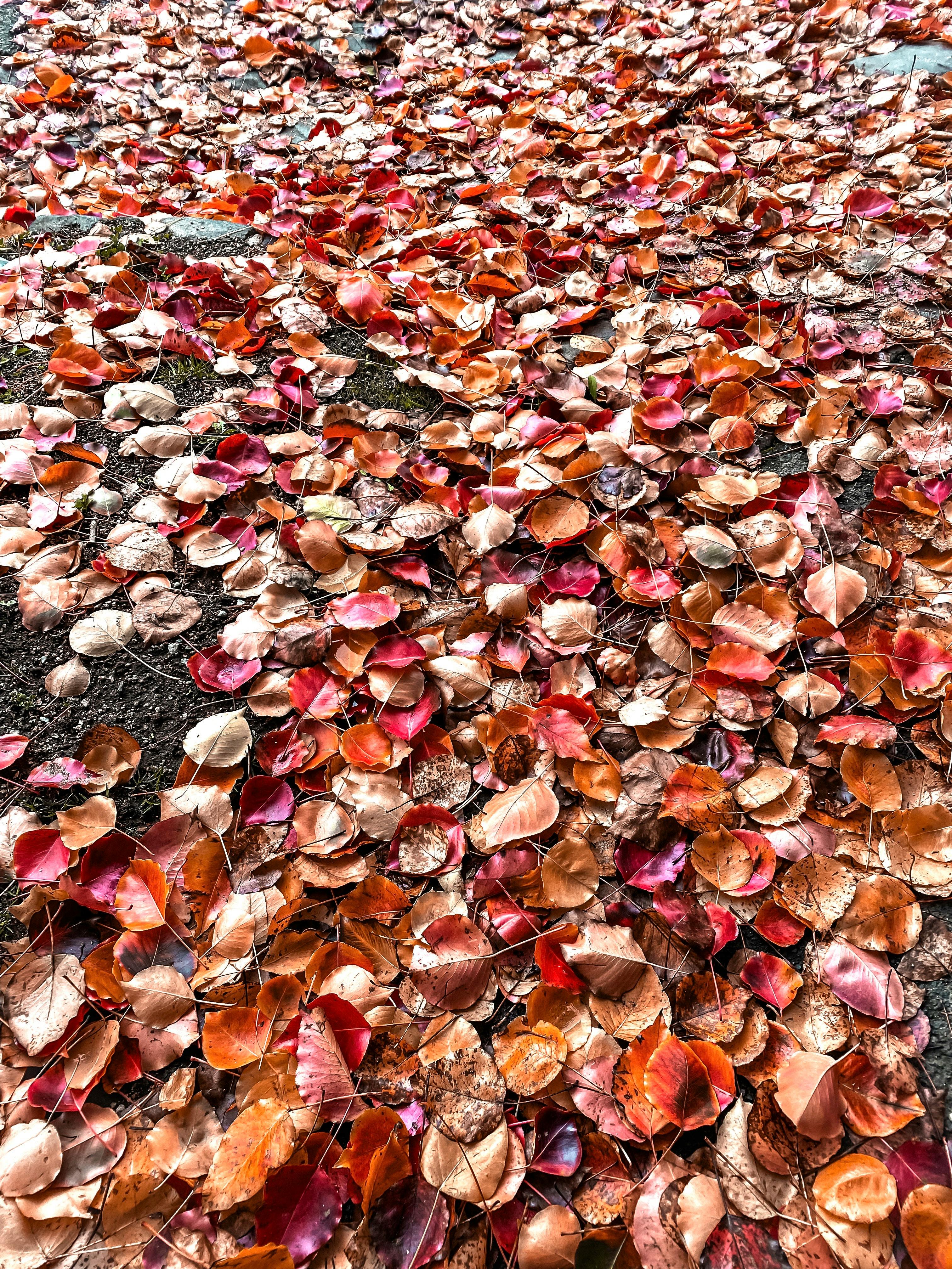 Studio Naae - 摄影