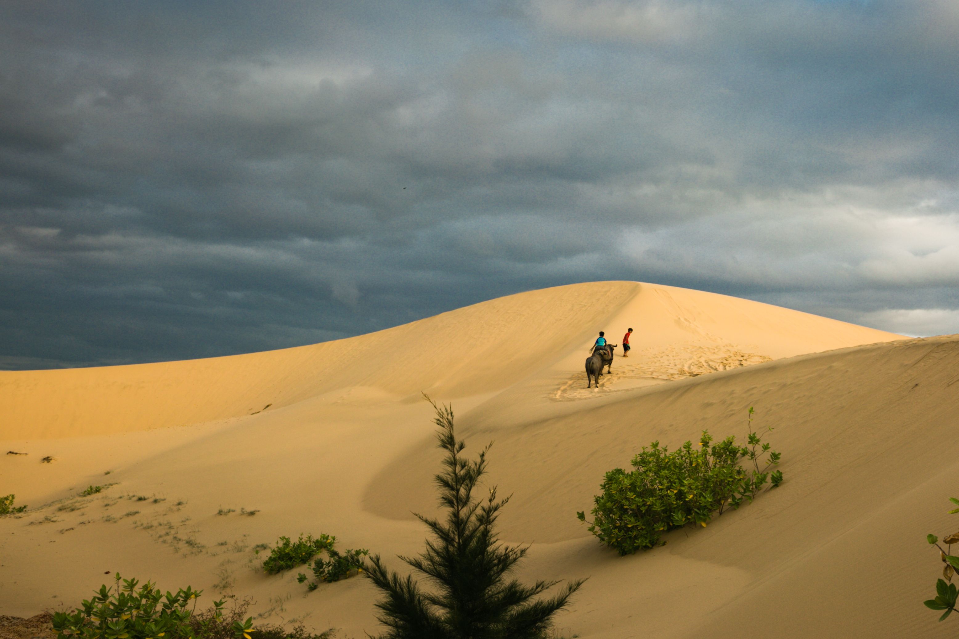 People on Desert · Free Stock Photo