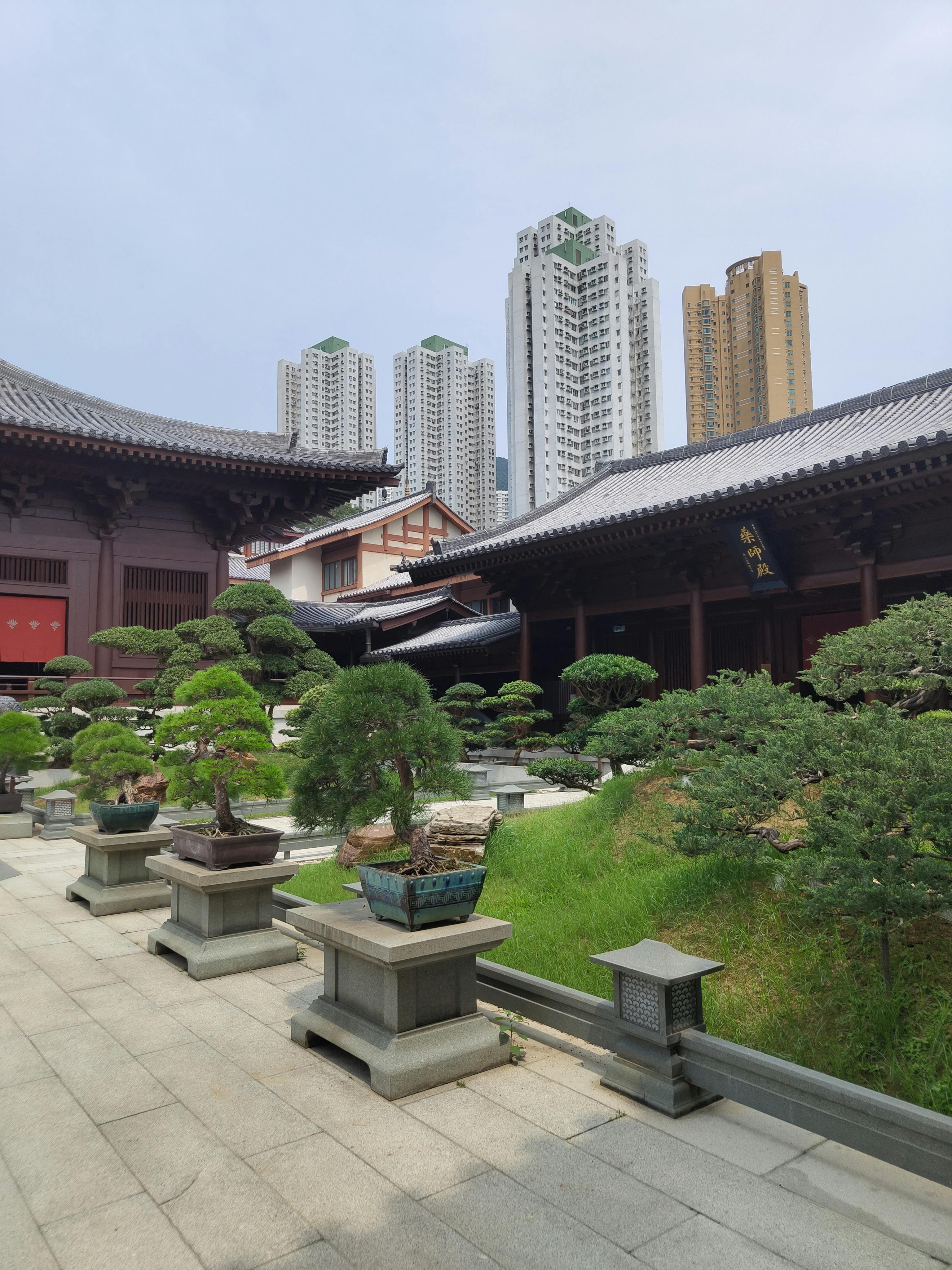 David Lomax - Photography