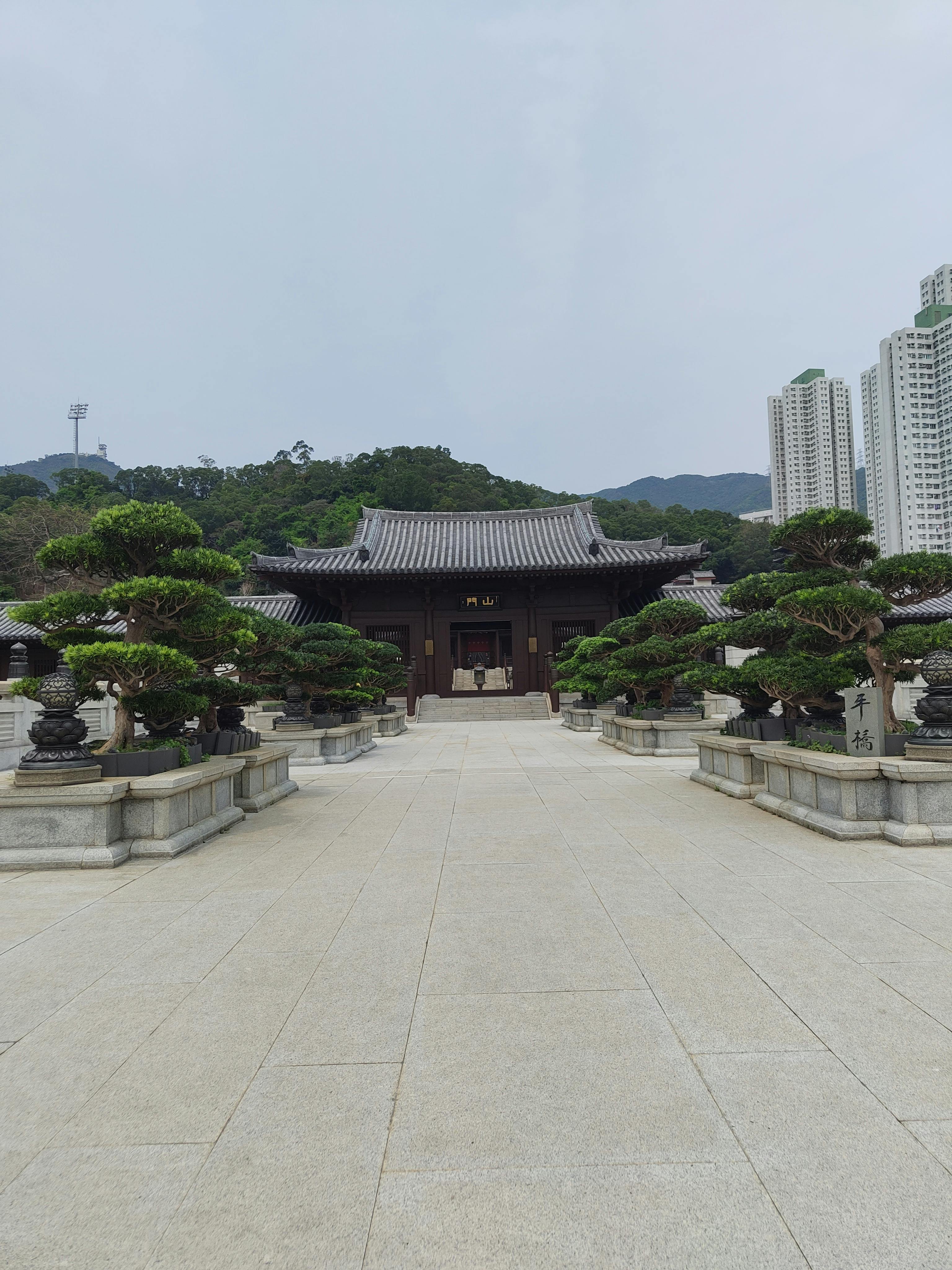 David Lomax - Photography