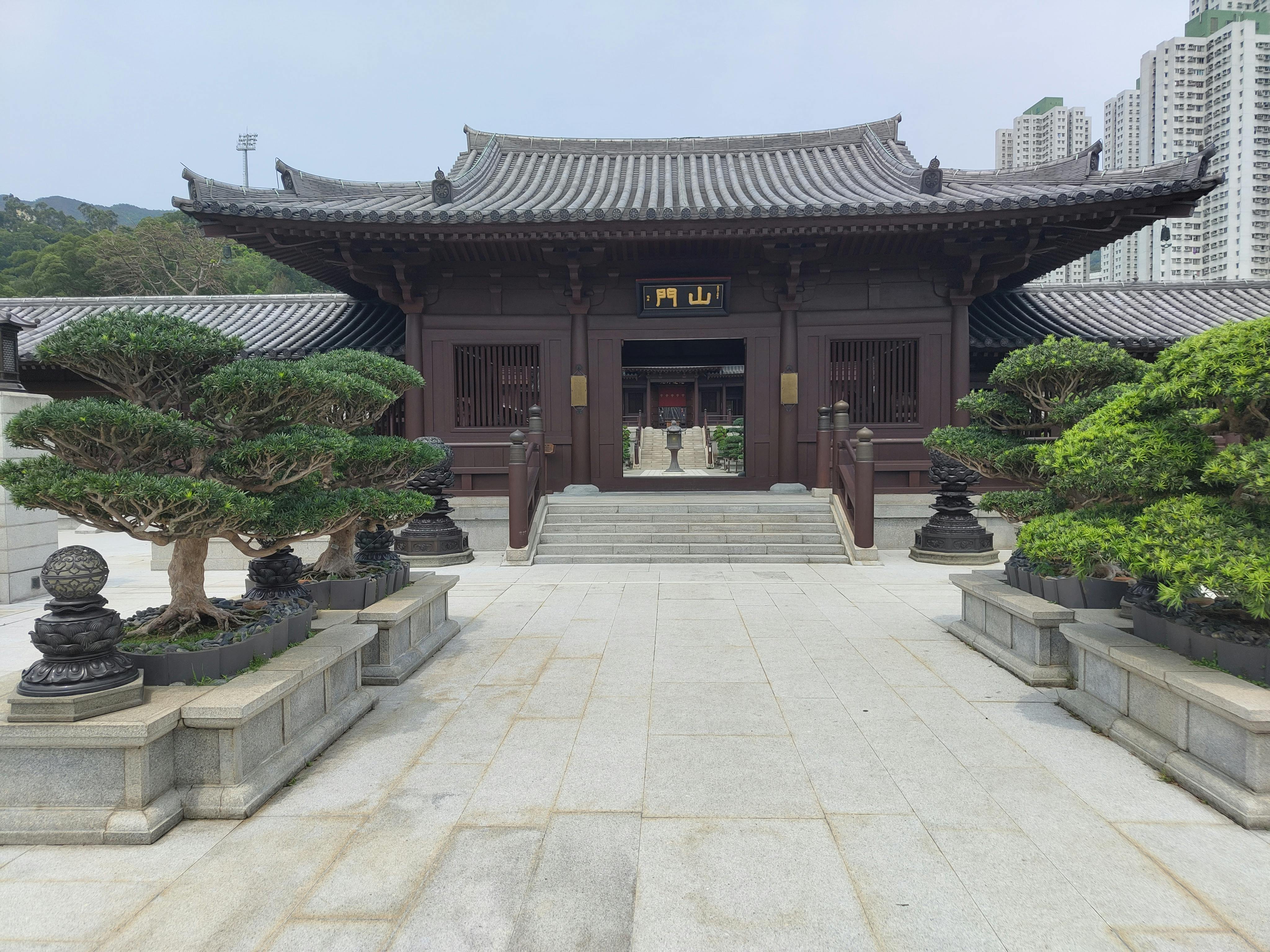 David Lomax - Photography