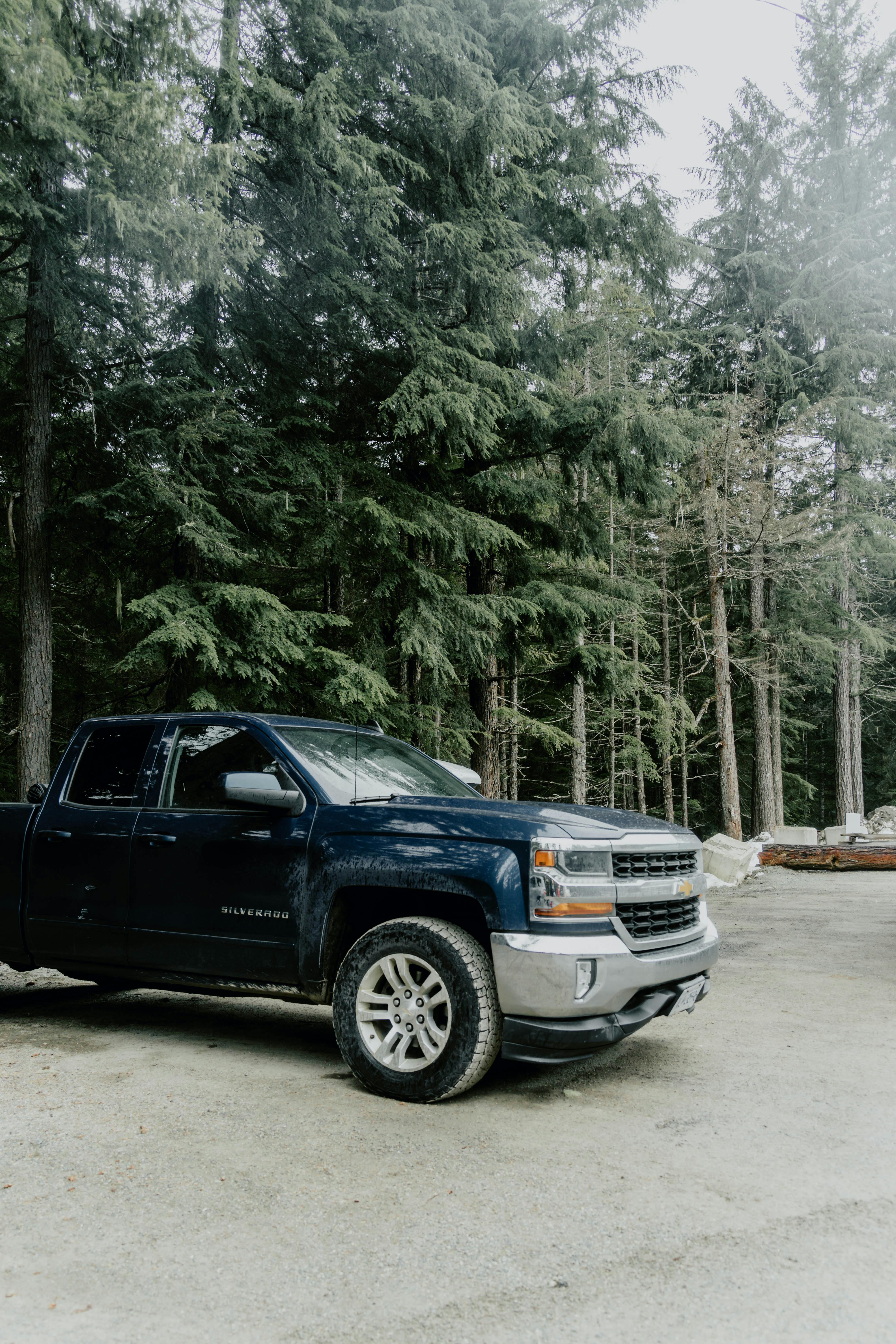 Blue Car in Front of Coniferous Forest · Free Stock Photo